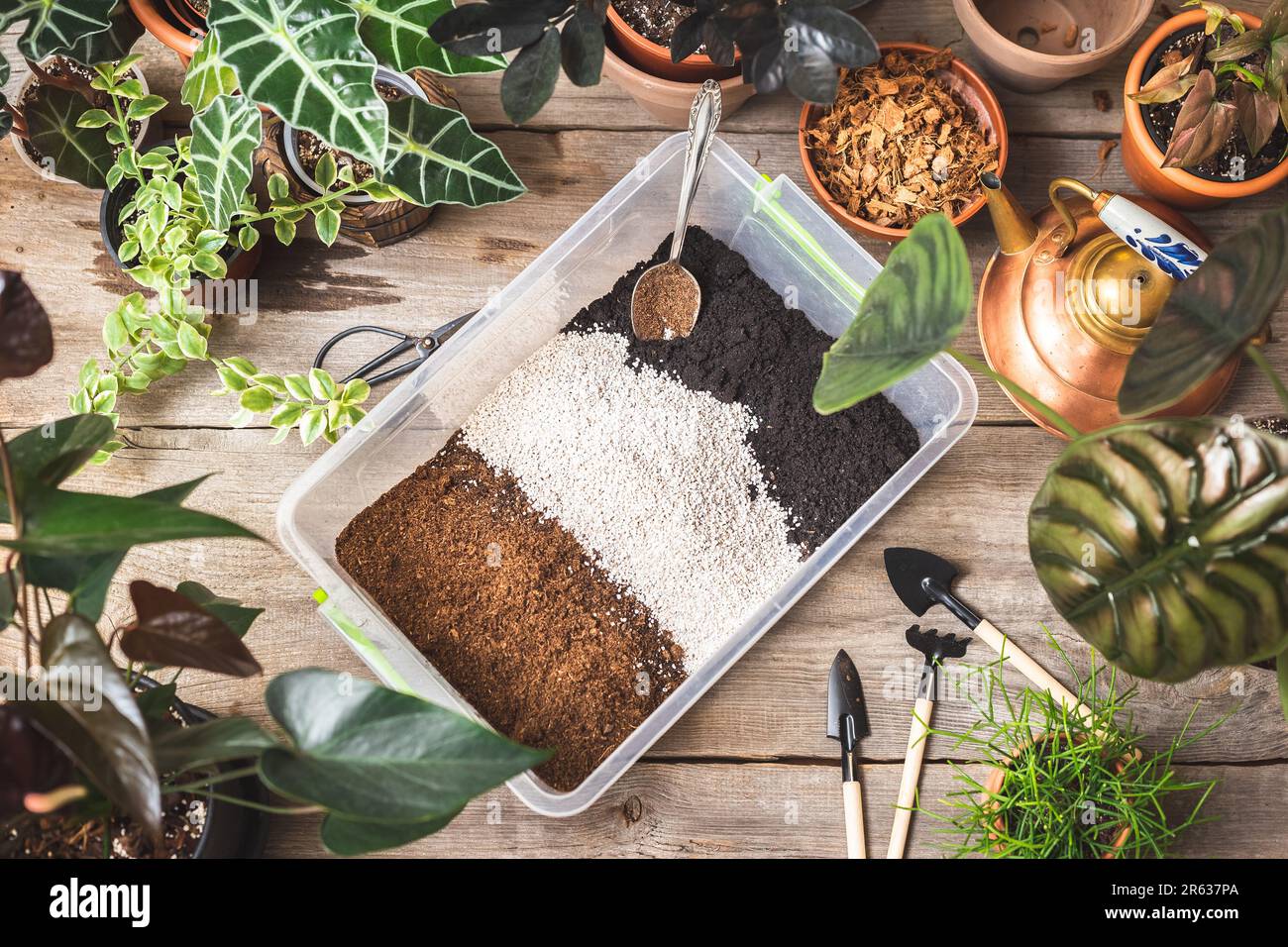 Plant soil mix with all purpose ground, peet moss and perlite for good ...