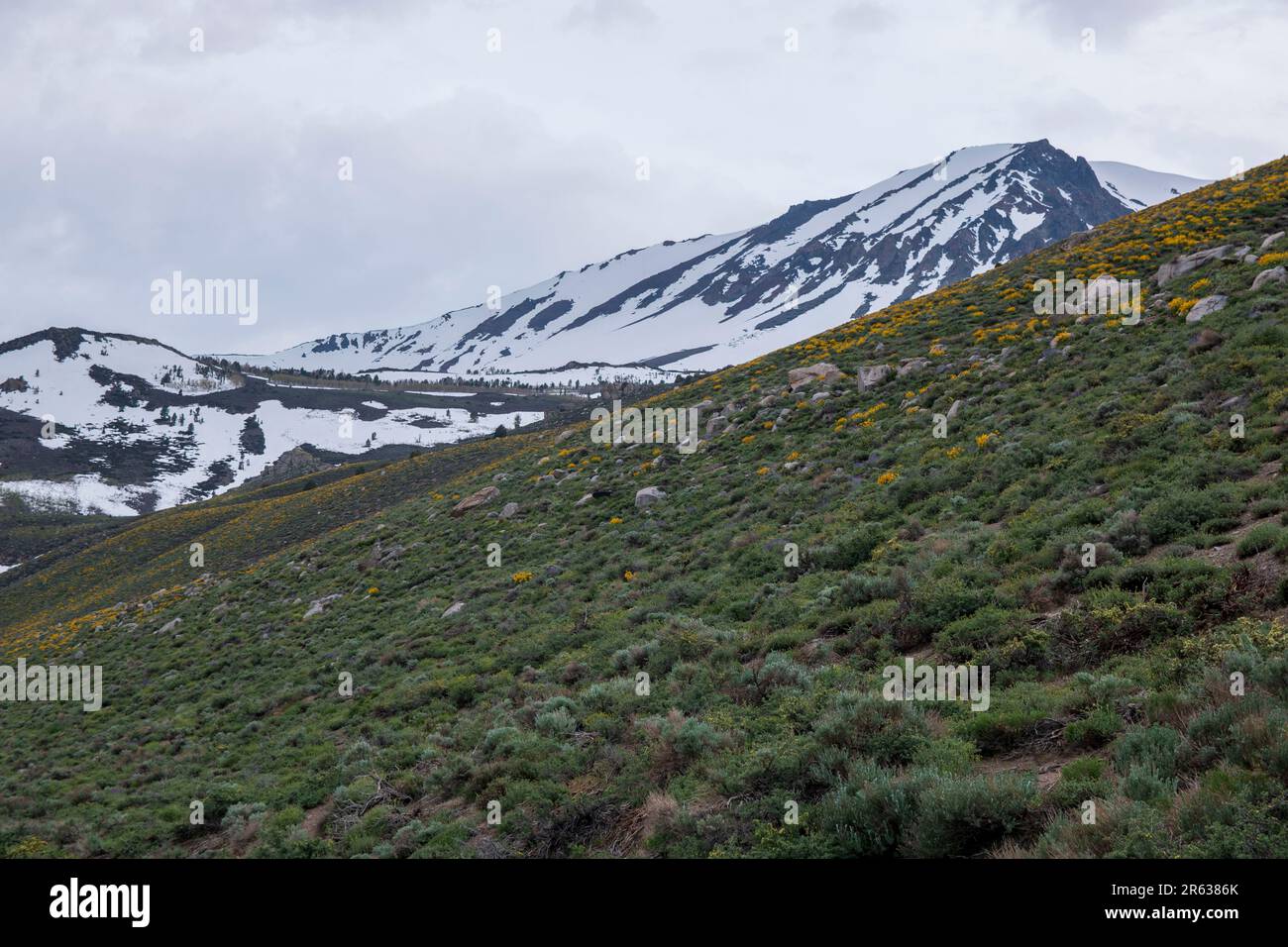Grant Lake is one of the lakes along the June Lake Loop in Mono County ...