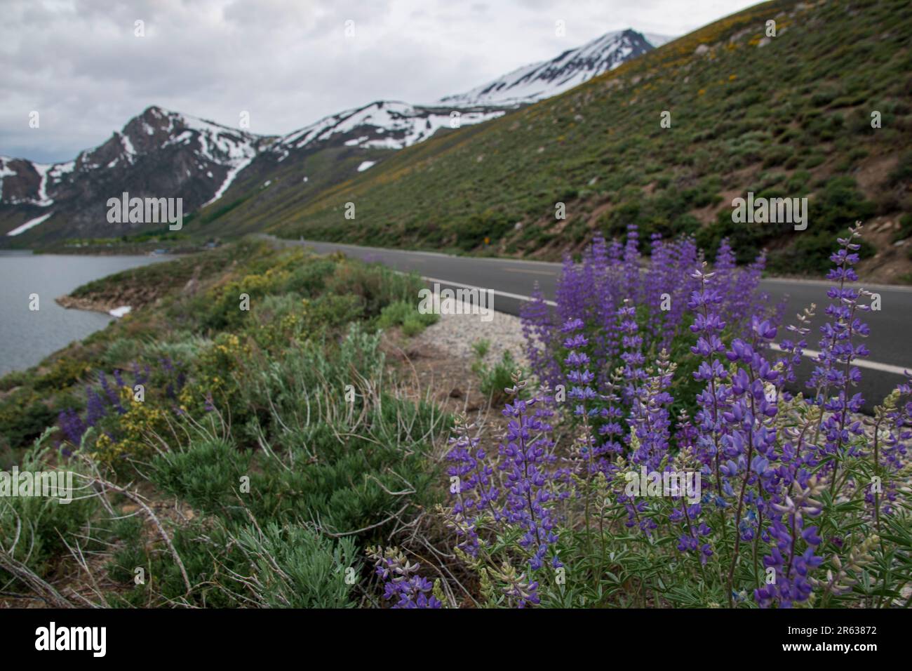 Grant Lake is one of the lakes along the June Lake Loop in Mono County ...