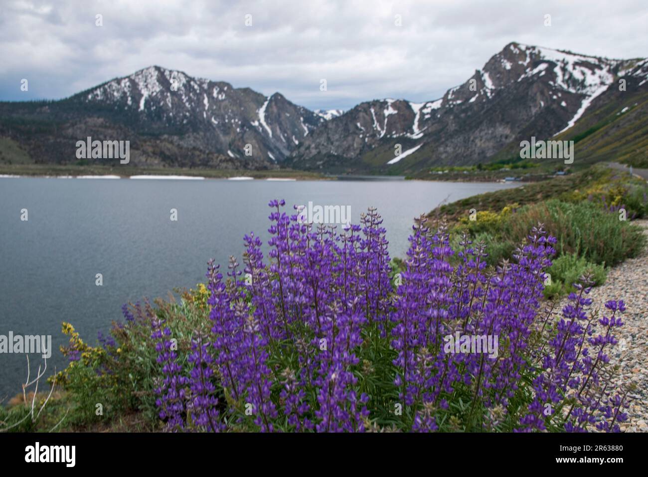 Grant Lake is one of the lakes along the June Lake Loop in Mono County ...
