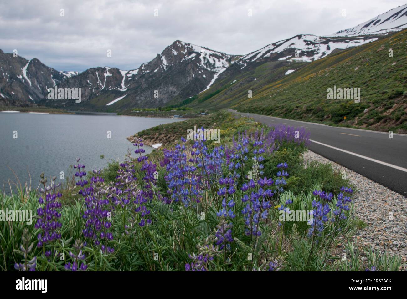 Grant Lake is one of the lakes along the June Lake Loop in Mono County ...