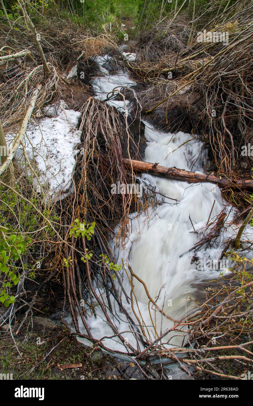 Grant Lake is one of the lakes along the June Lake Loop in Mono County ...