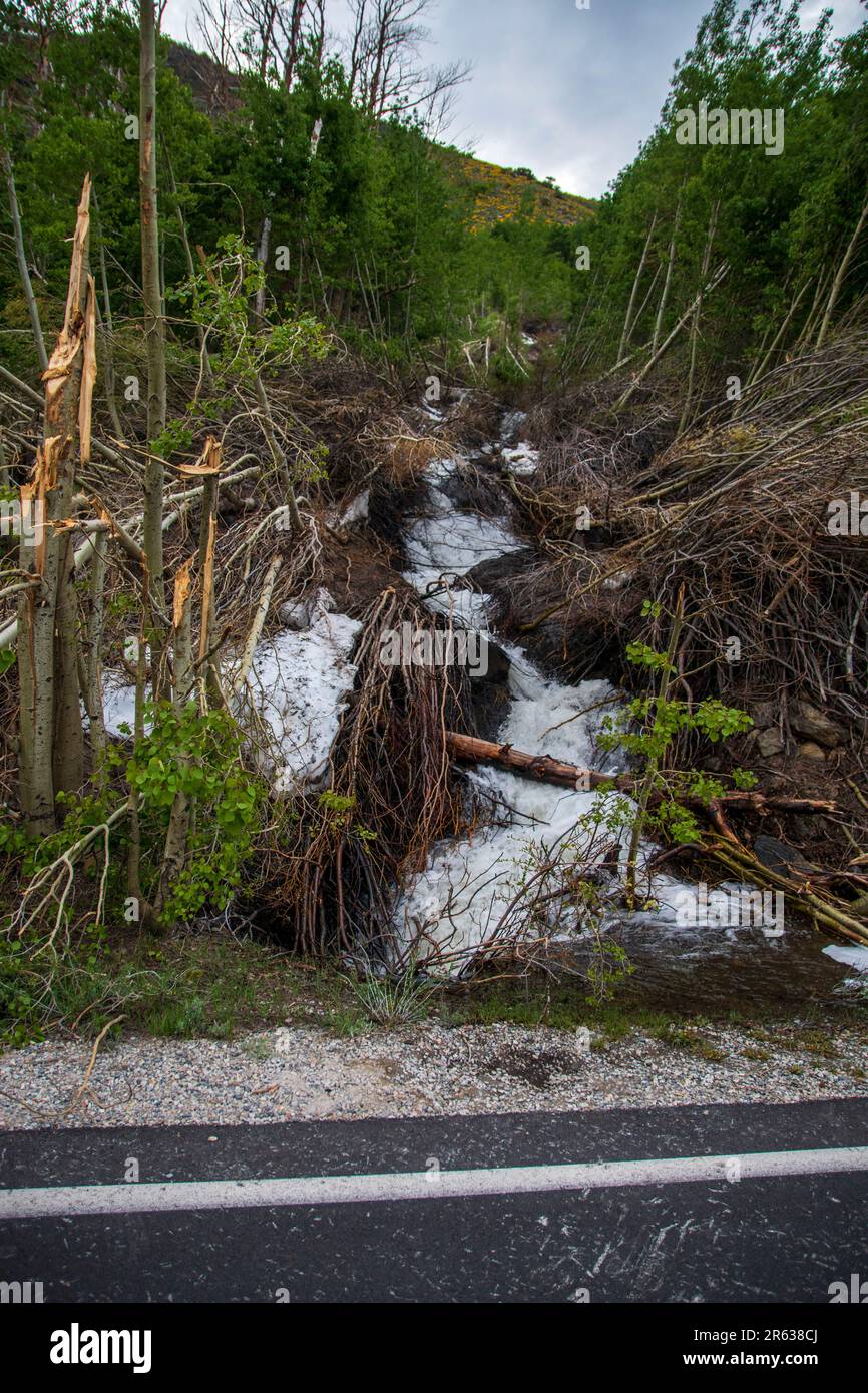 Grant Lake is one of the lakes along the June Lake Loop in Mono County ...