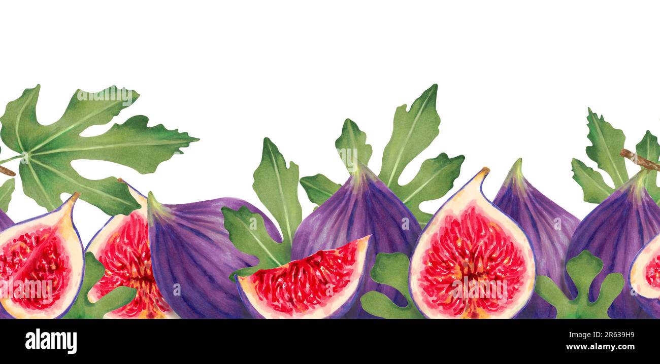 Figs illustration fruit hi-res stock photography and images - Alamy