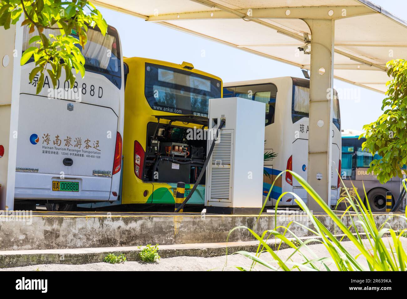 New energy bus charging Stock Photo - Alamy
