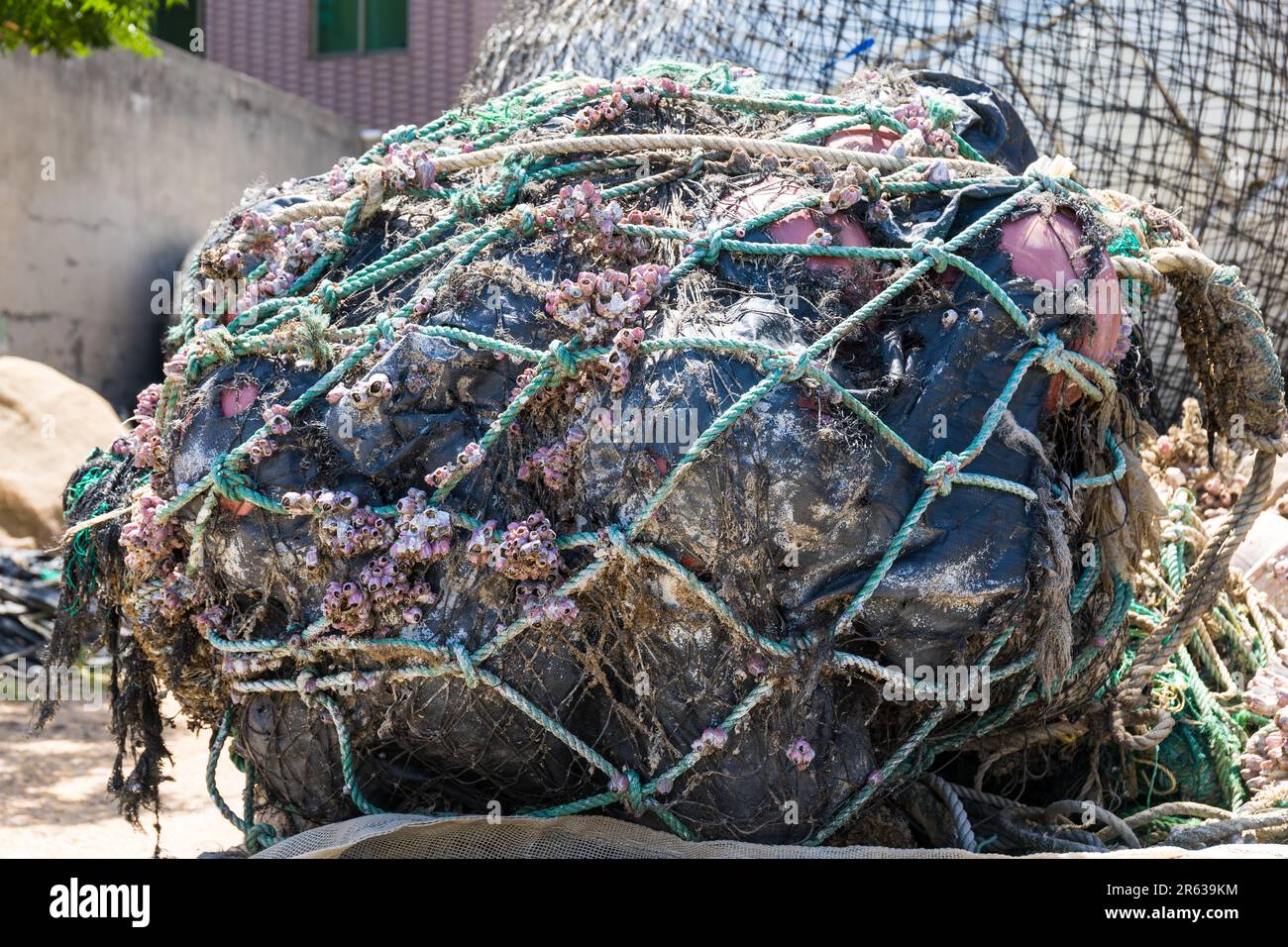 Environement fishing hi-res stock photography and images - Alamy