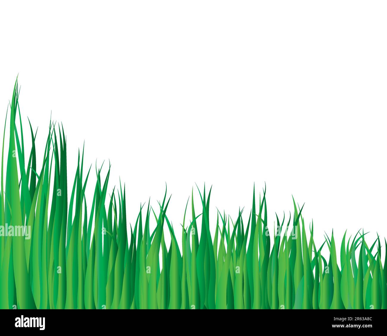 Vector illustration grass background for design usage Stock Vector ...
