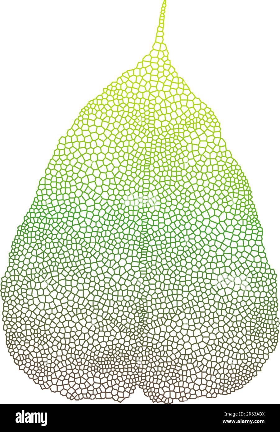 Delicate contour Cut Out Stock Images & Pictures - Alamy