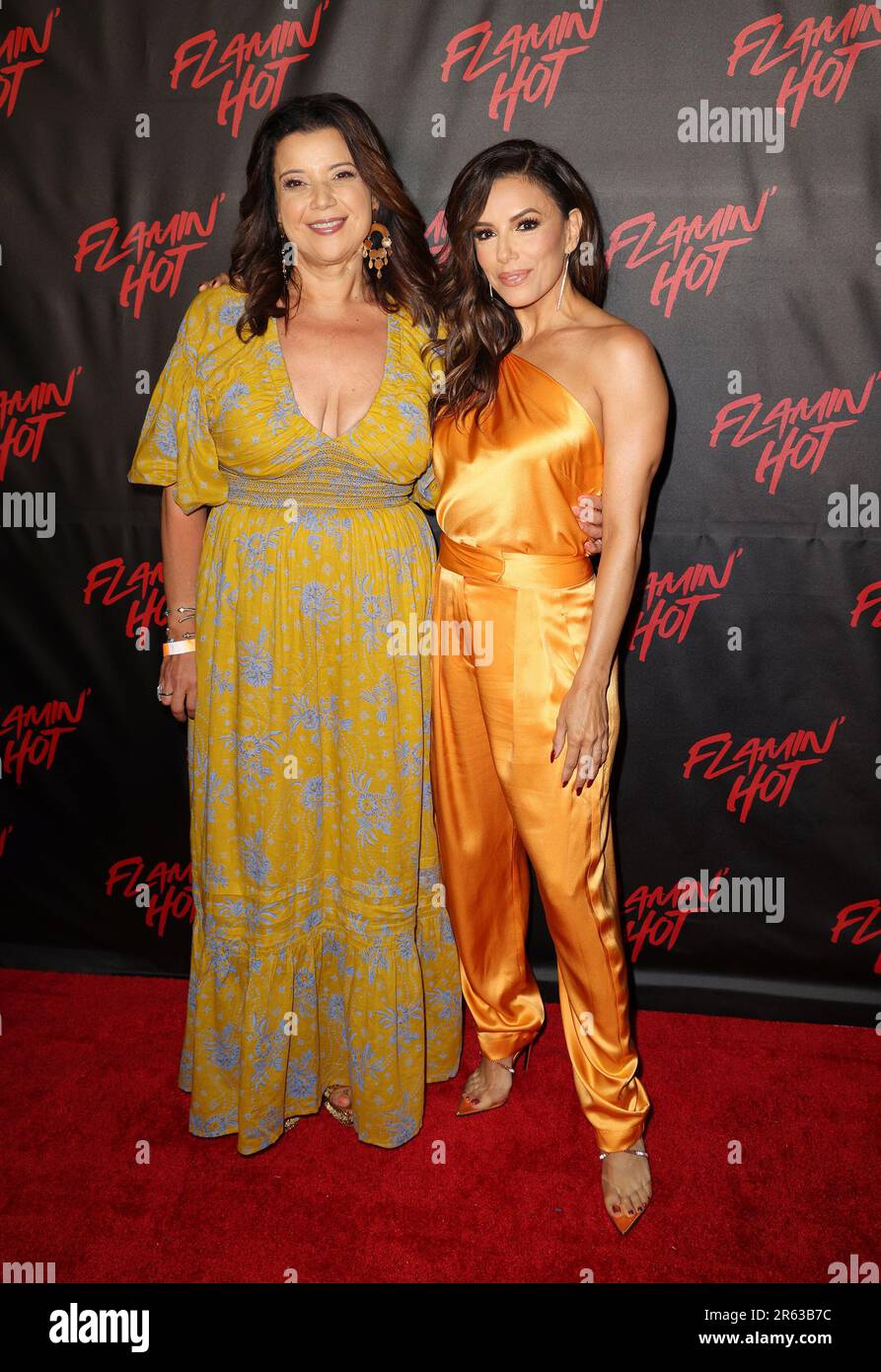 MIAMI, FLORIDA - JUNE 6: Ana Navarro and Eva Longoria attend the ...
