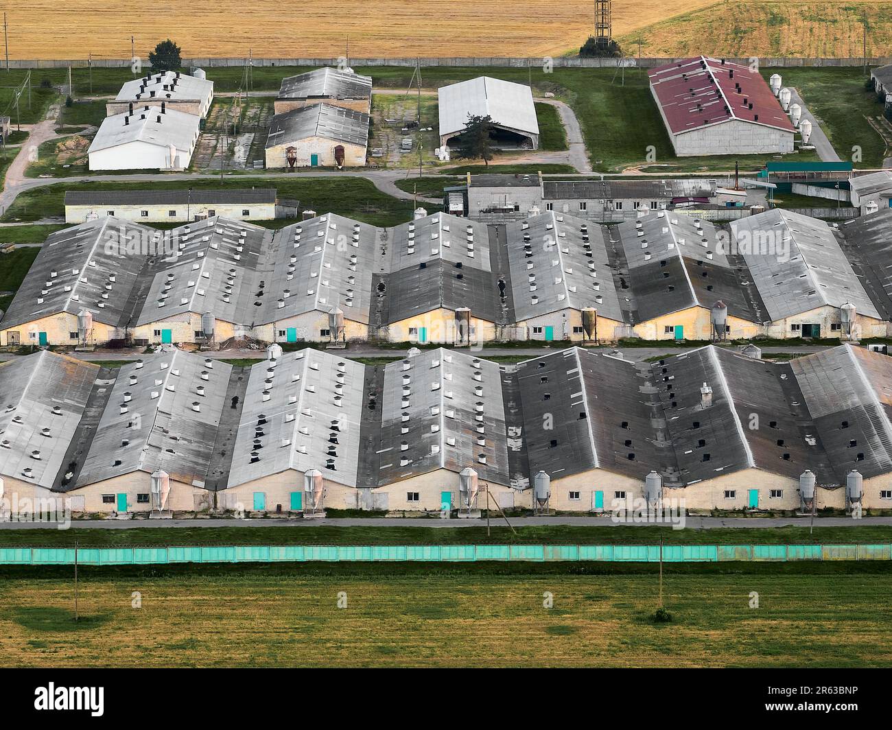 Huge farms for keeping pigs in agricultural business Stock Photo - Alamy