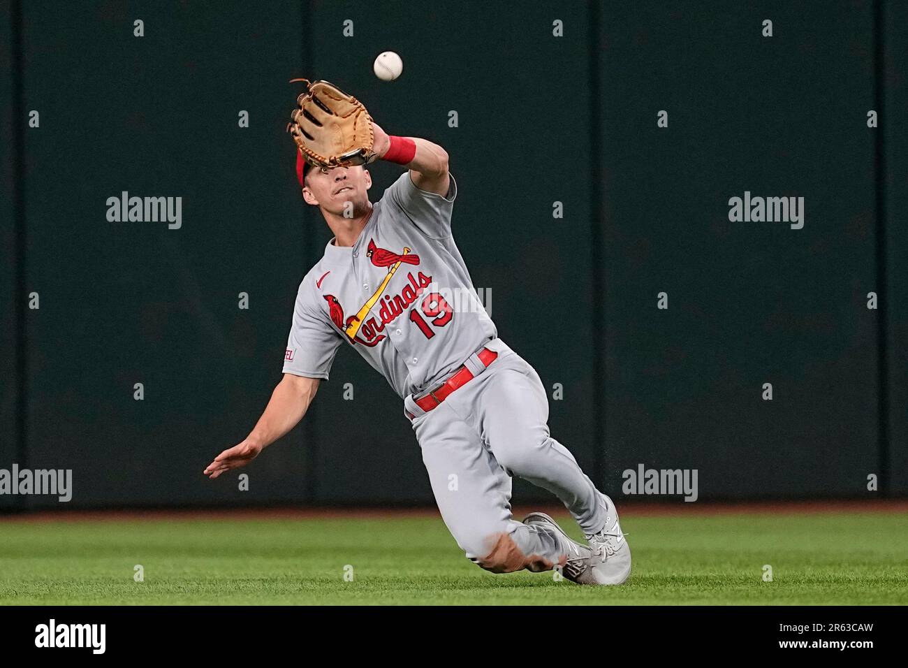 St. Louis Cardinals center fielder Tommy Edman makes a sliding catch of ...