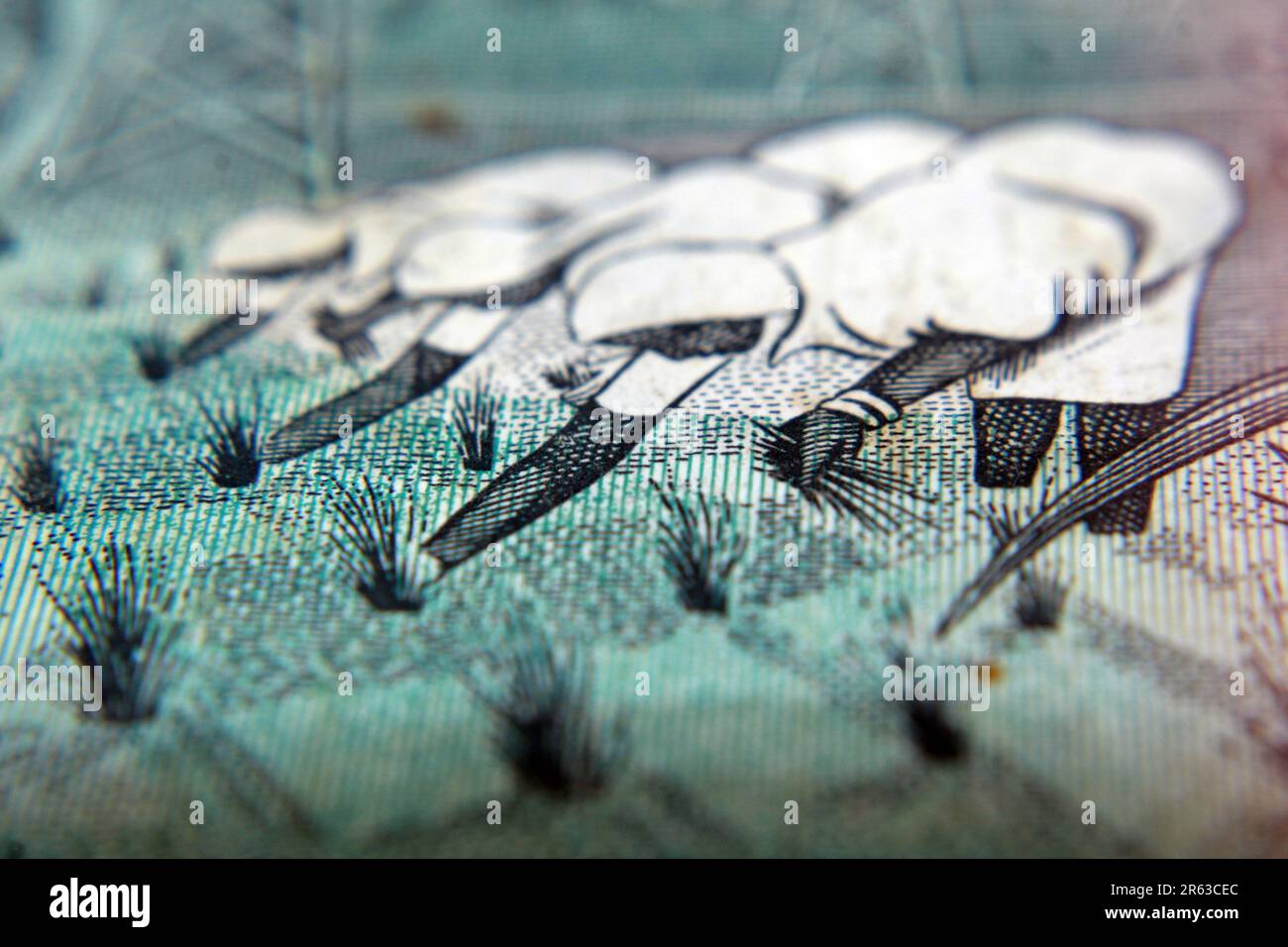 Closeup Macro Old Indian One Hundred Bank Note Stock Photo - Alamy