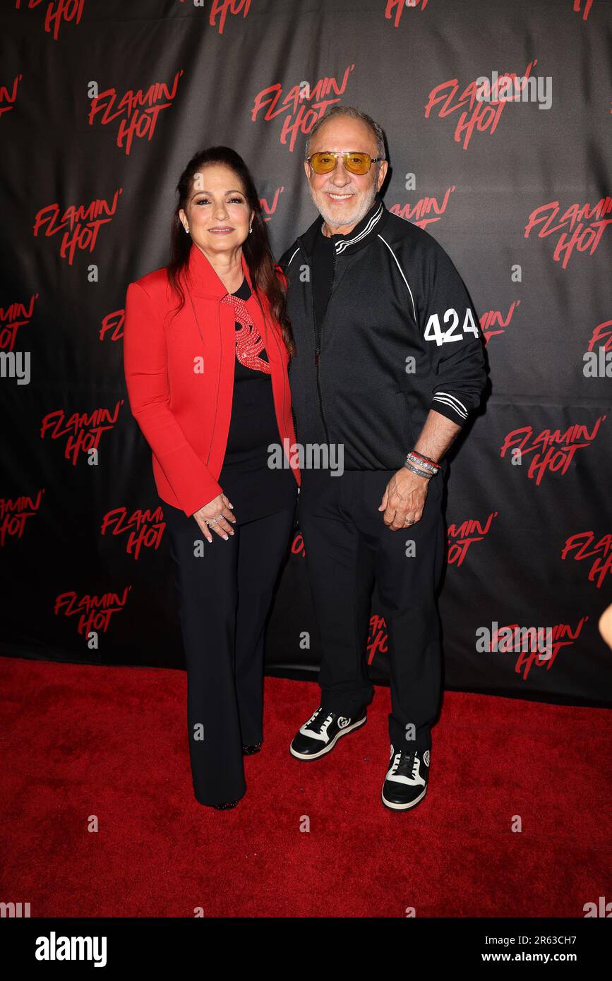 MIAMI, FLORIDA - JUNE 6: Gloria Estefan and Emilio Estefan attend the ...
