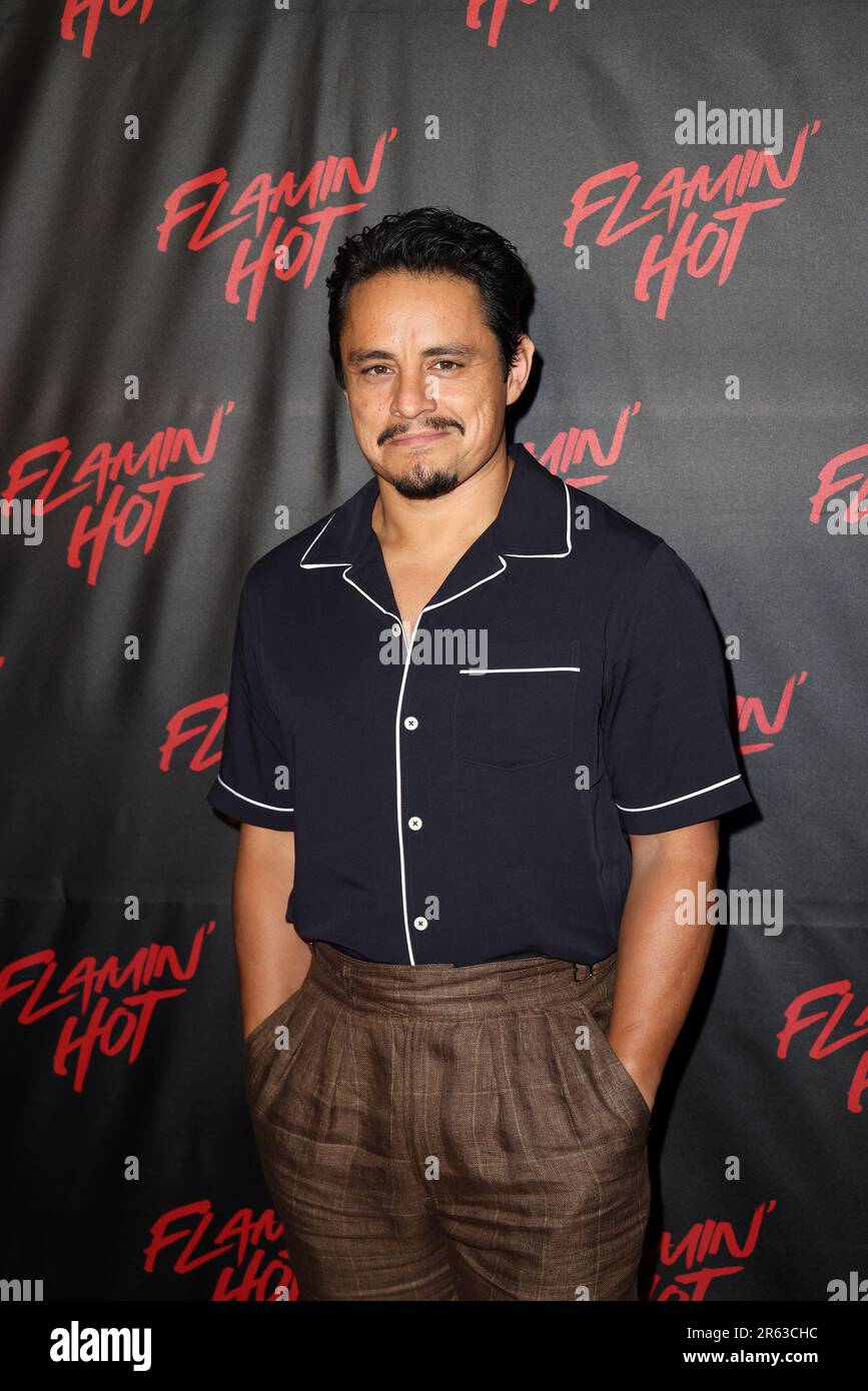 MIAMI, FLORIDA - JUNE 6: Jesse Garcia attends the "Flamin' Hot" Miami ...