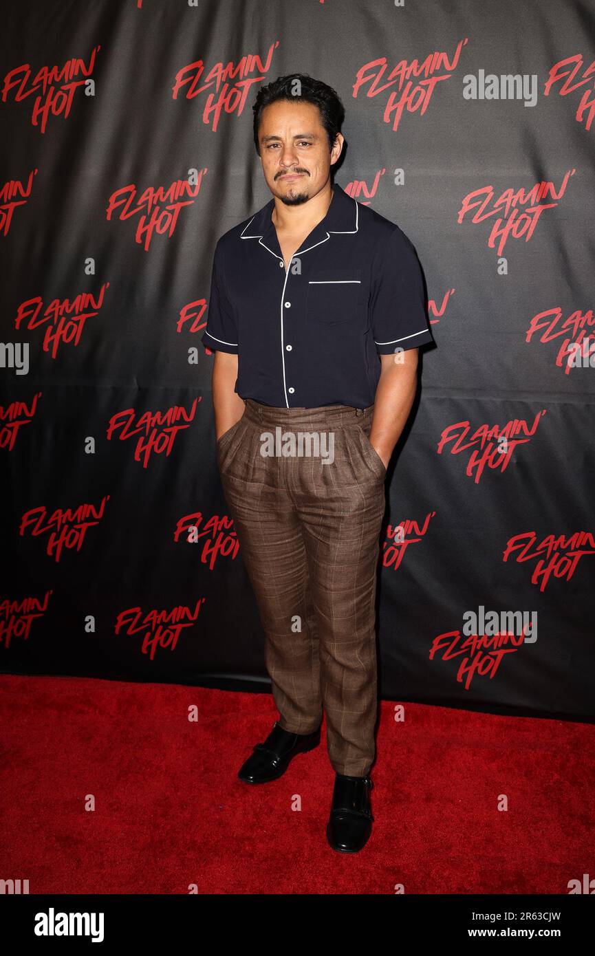 MIAMI, FLORIDA - JUNE 6: Jesse Garcia attends the "Flamin' Hot" Miami ...