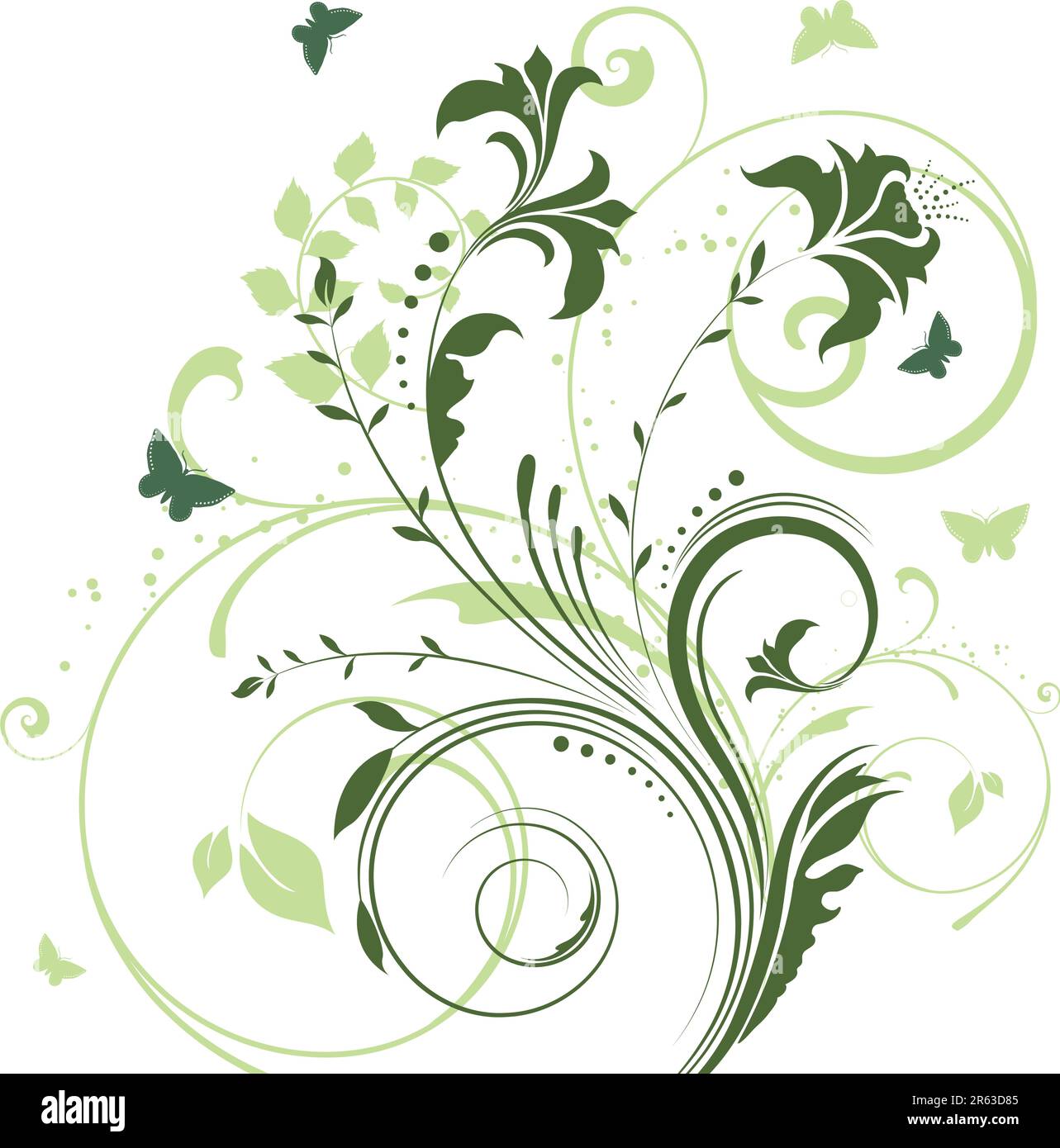 Decorative insect Cut Out Stock Images & Pictures - Alamy