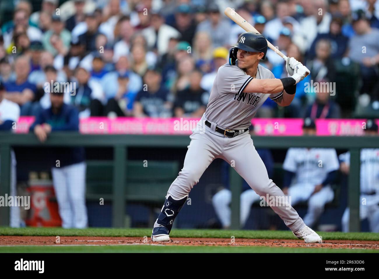 New York Yankees' Jake Bauers looks for a pitch against the Seattle ...