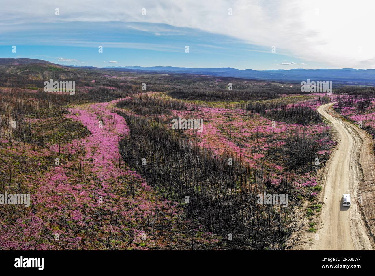Drone, aerial view of Yukon Territory landscape in summer time with ...