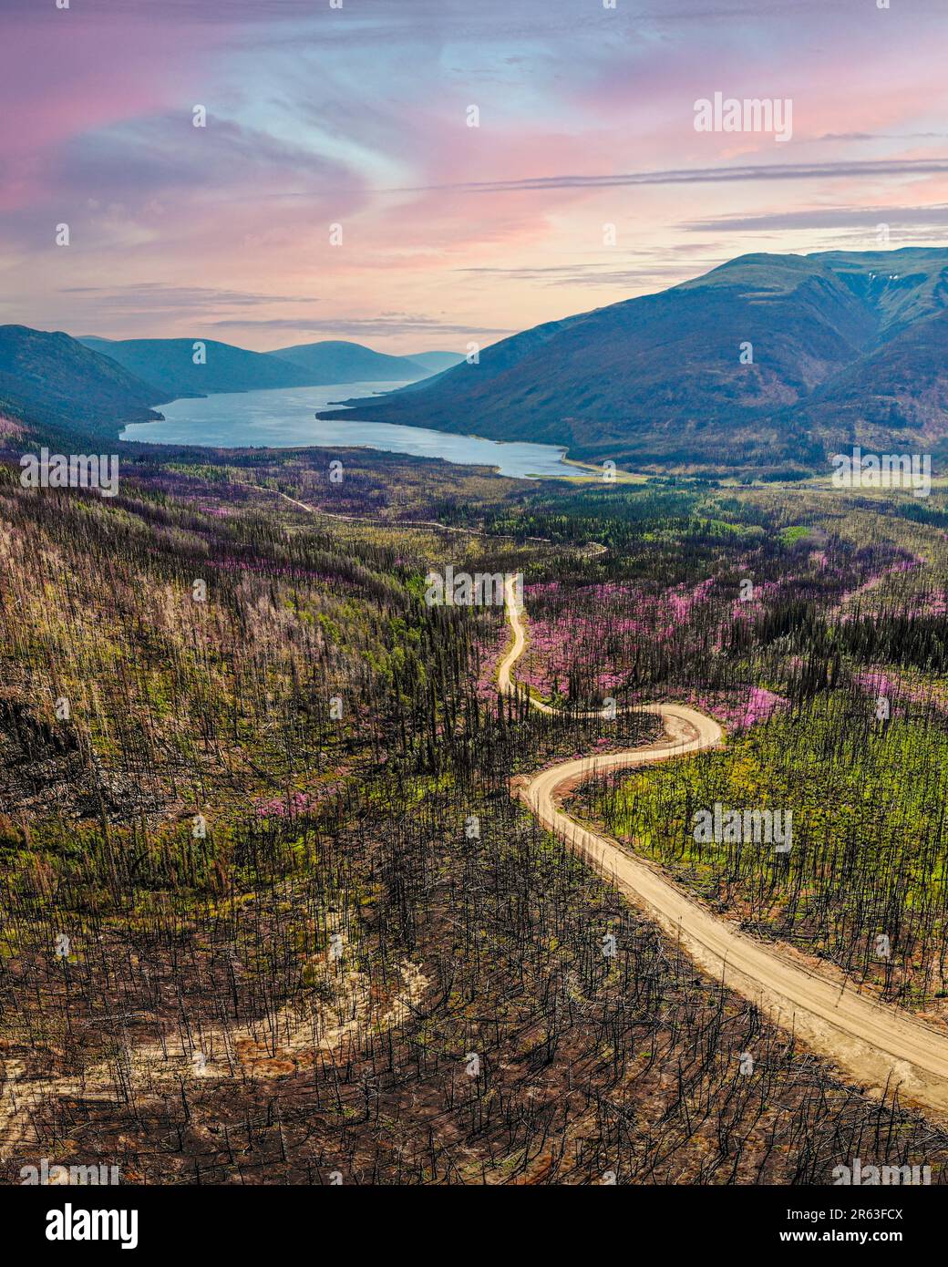 Drone, aerial view of Yukon Territory landscape in summer time with ...