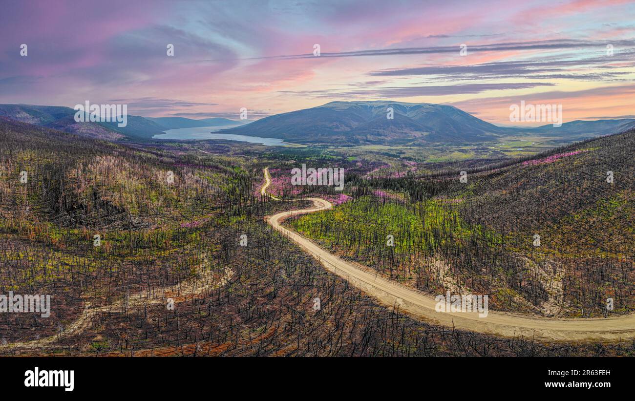 Drone, aerial view of Yukon Territory landscape in summer time with ...