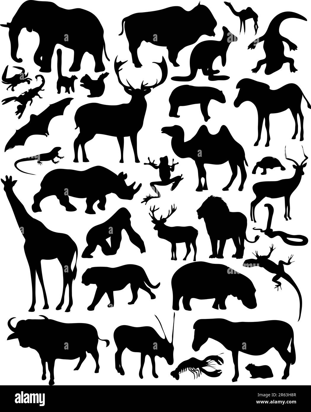 Set of vector illustrated wild animals silhouettes Stock Vector Image ...