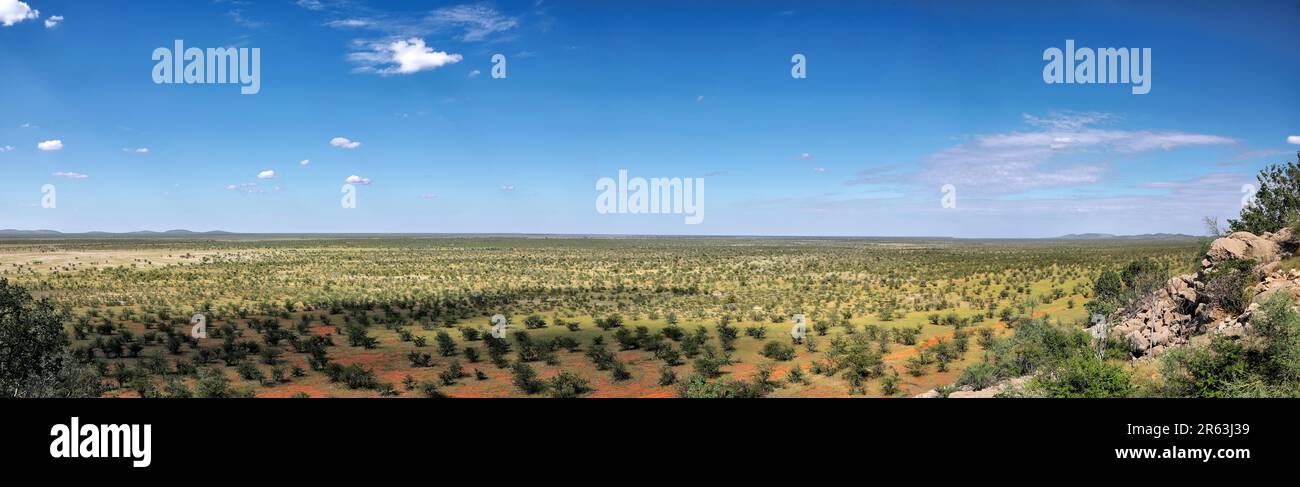 Landscape at the western part of Etosha National Park, Namibia Stock ...