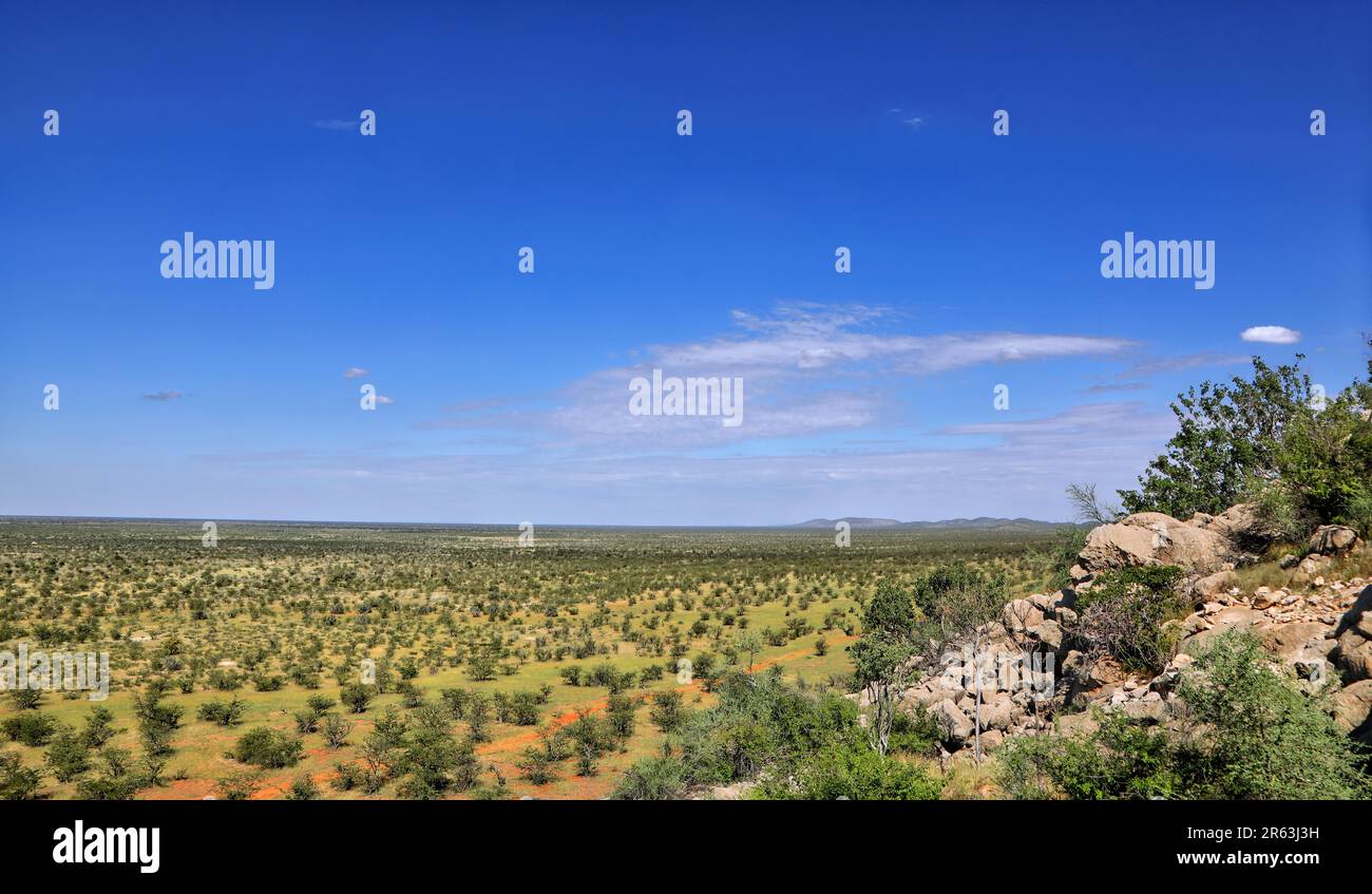 Landscape at the western part of Etosha National Park, Namibia Stock ...