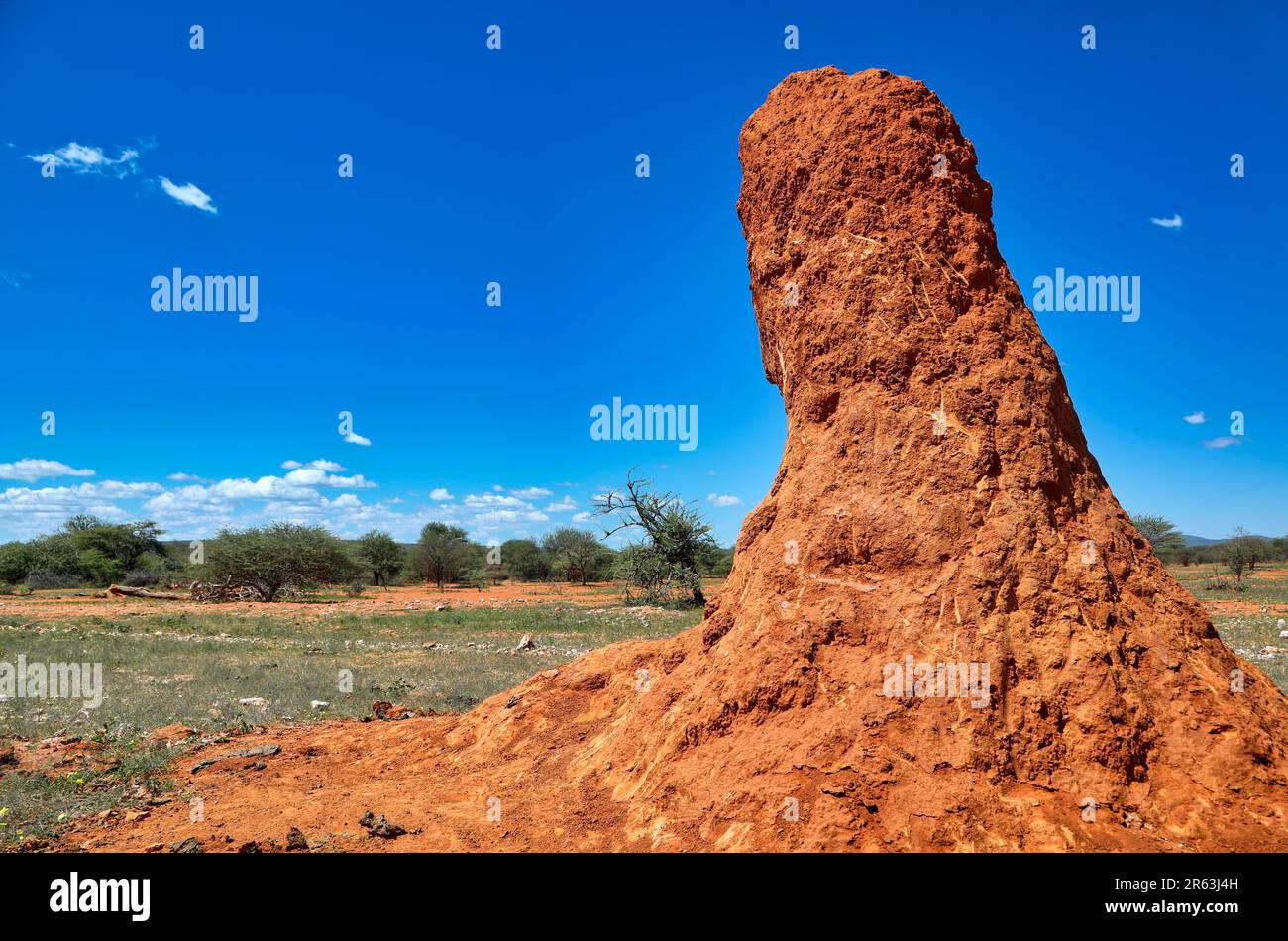 Big sandy hill hi-res stock photography and images - Alamy