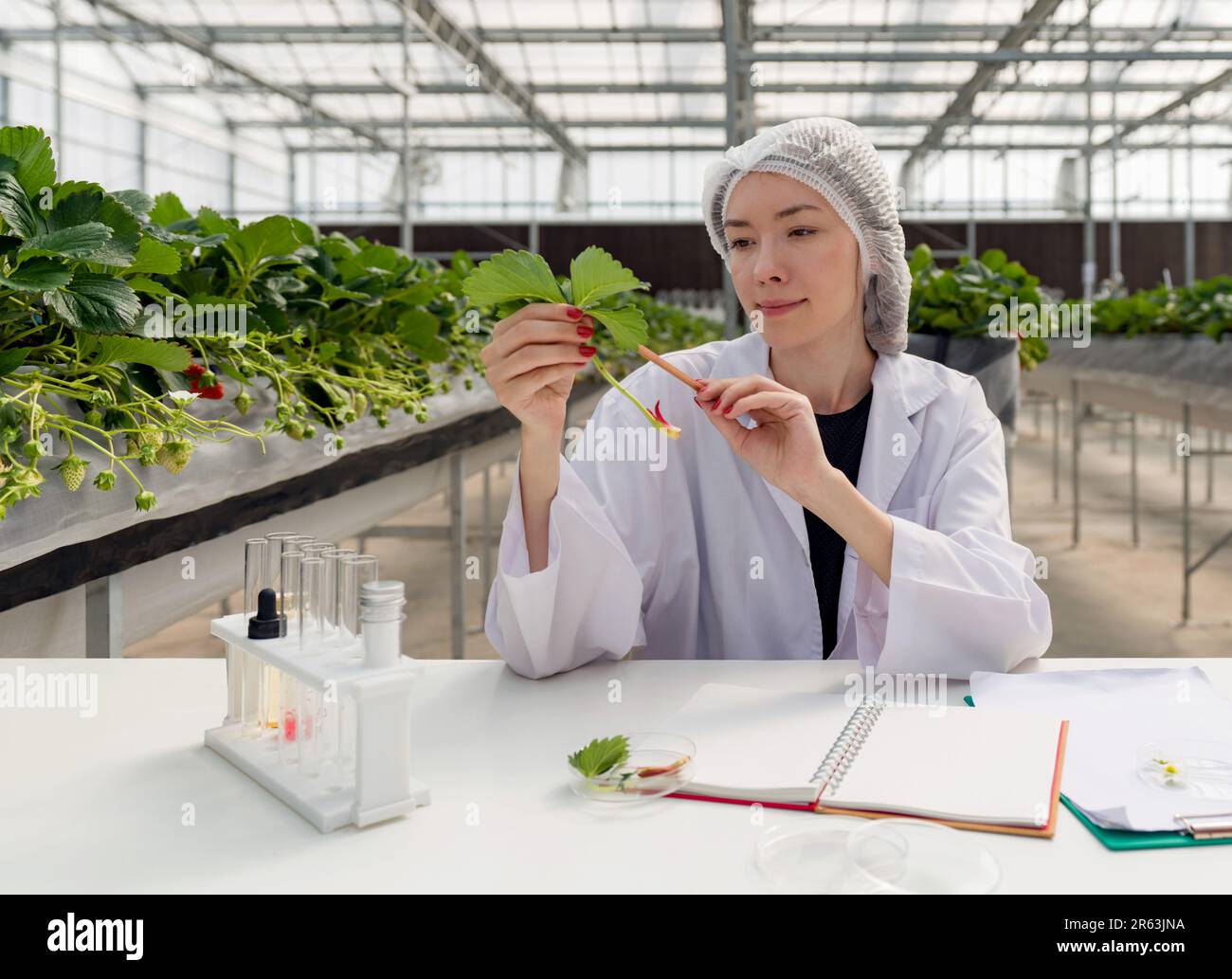 Caucasian female botanical scientist in white gown observes leaf ...