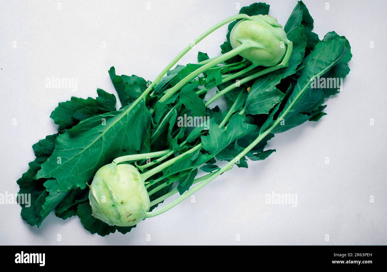 Kohlrabi (Brassica oleracea var. gongylodes) (Plants) (Vegetable) (Crop ...