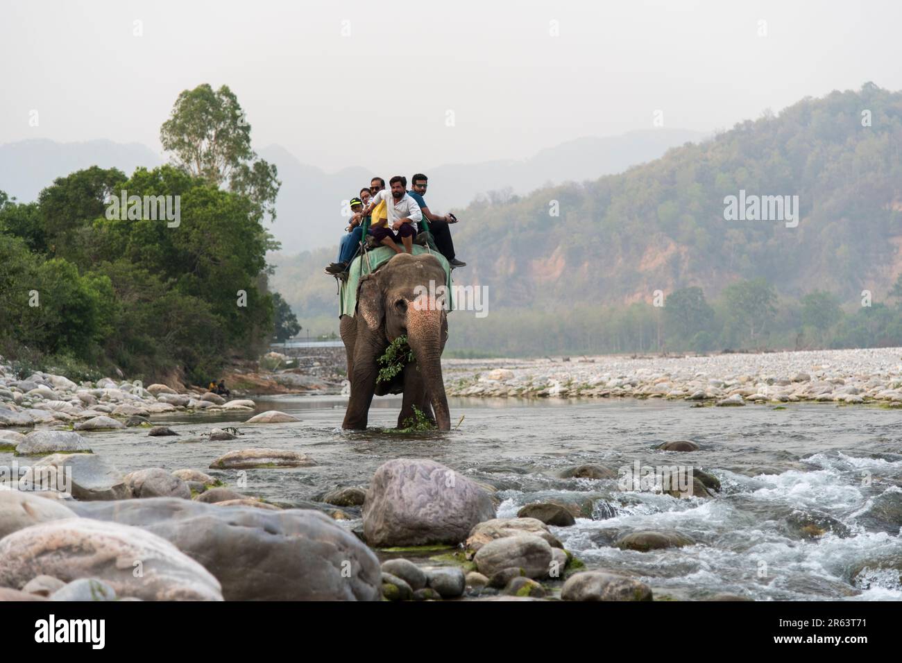 Jungle safari in Jim Corbett National Park, Uttarakhand, India Stock ...