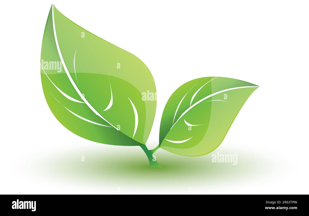 Beautiful leafs Stock Vector Images - Alamy