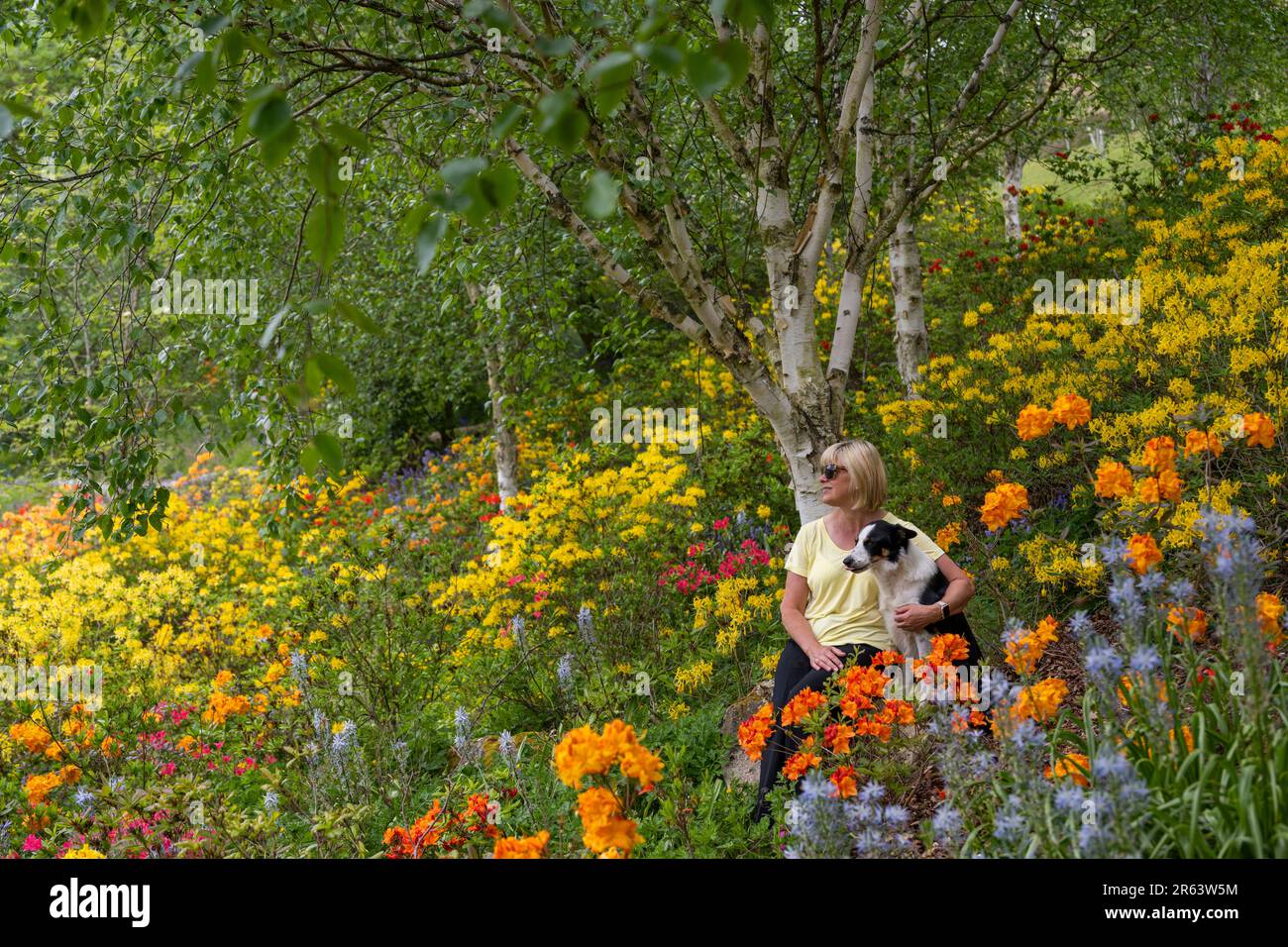 Burncastle hi-res stock photography and images - Alamy