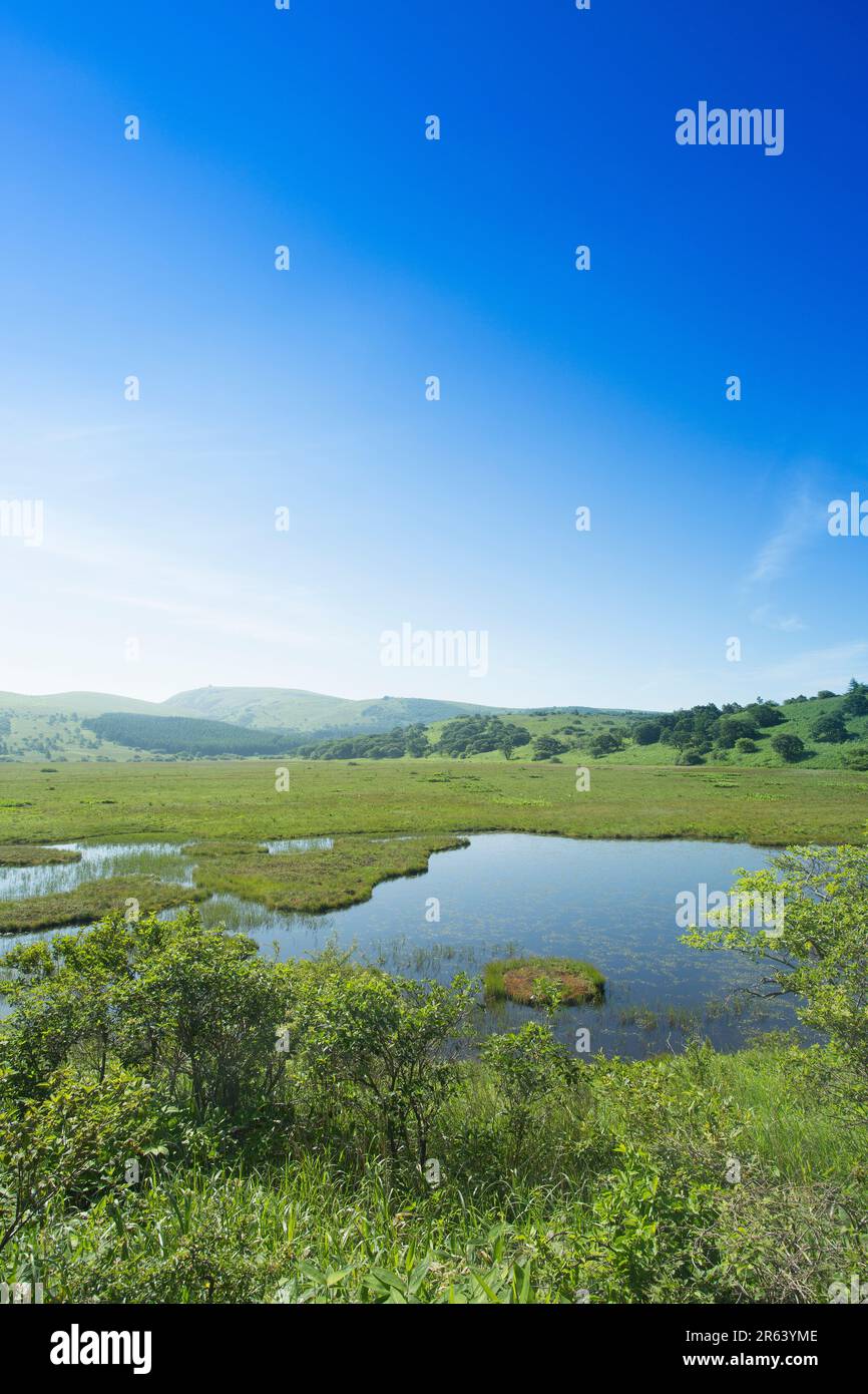 List of national parks of early summer hi-res stock photography and ...
