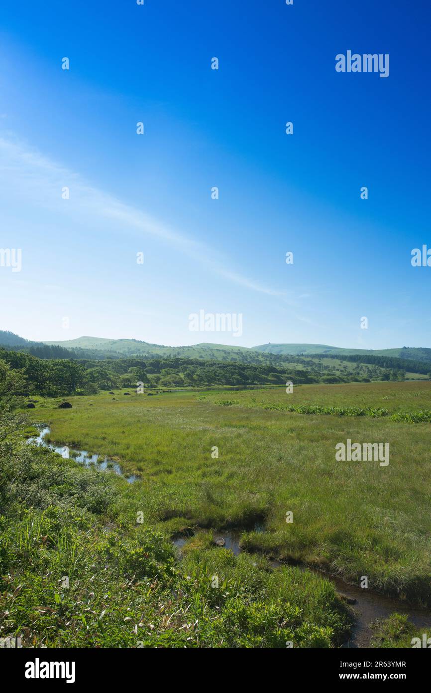 List of national parks of early summer hi-res stock photography and ...