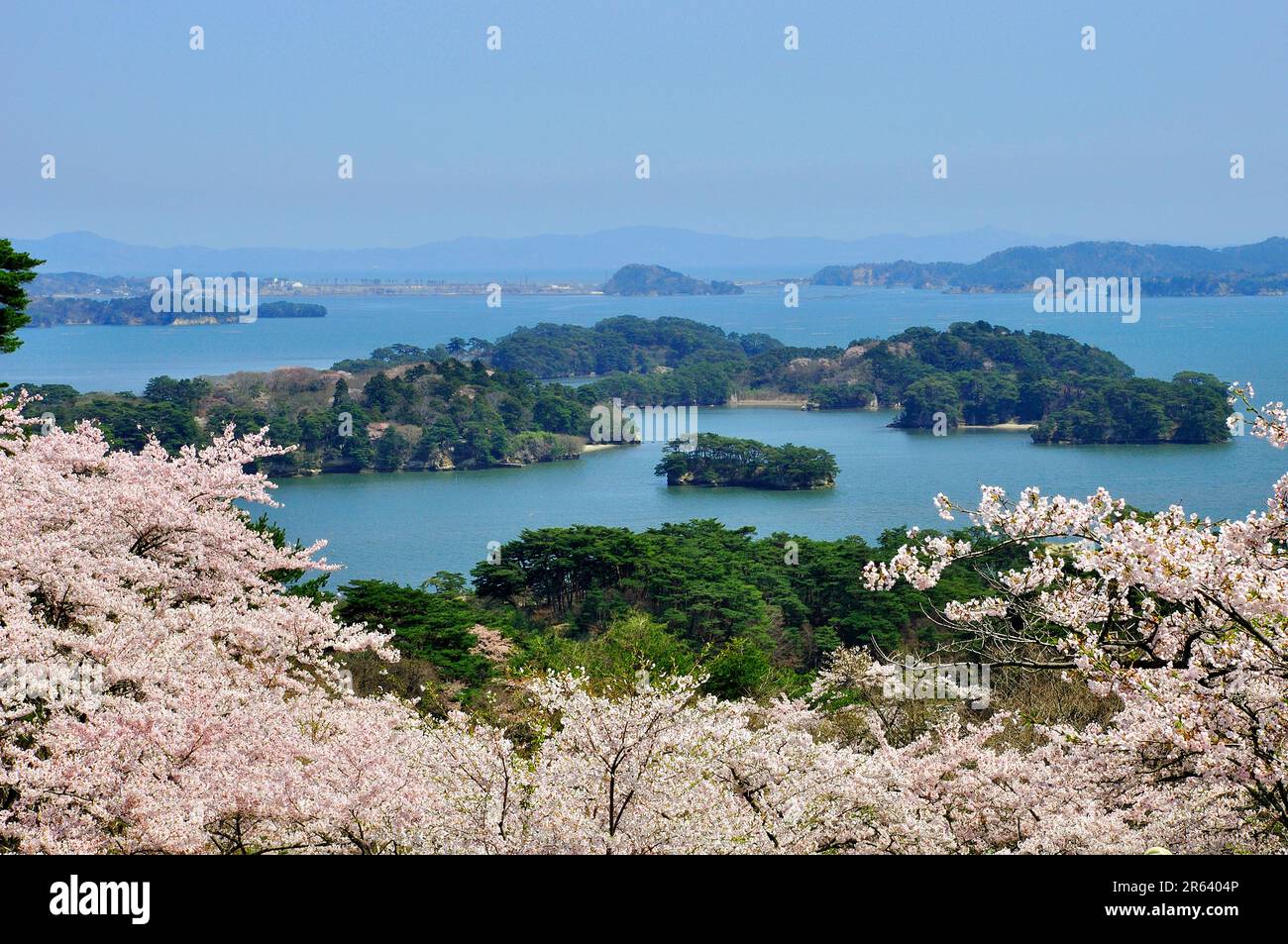 Saigyo an cherry blossoms hi-res stock photography and images - Alamy