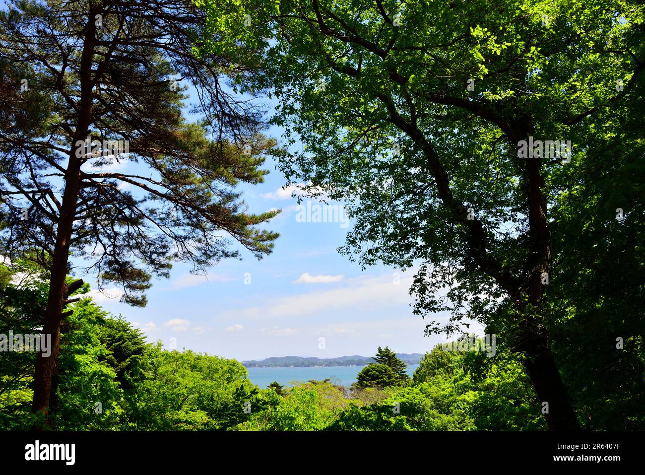 View of Matsushima Bay from Soukanzan Mountain Stock Photo - Alamy