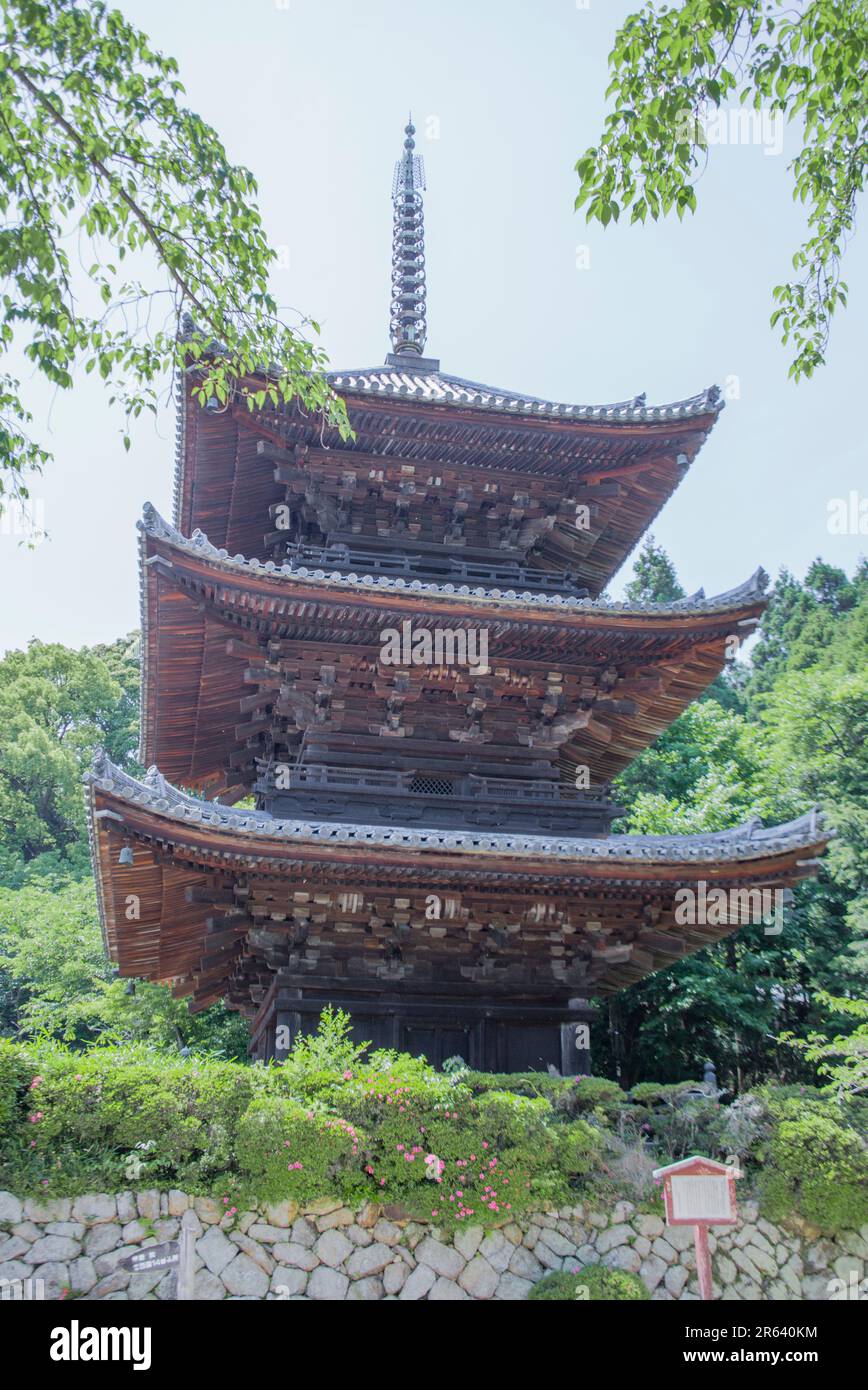 Three-storied pagoda of Mitsui Temple Stock Photo - Alamy