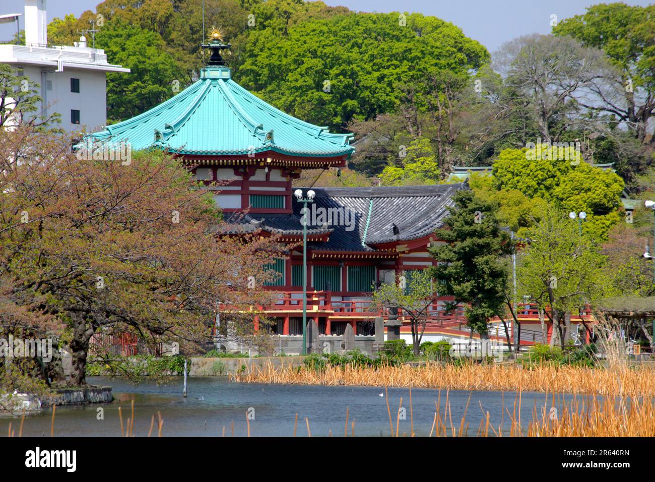 Benten in shinobazu pond hi-res stock photography and images - Alamy