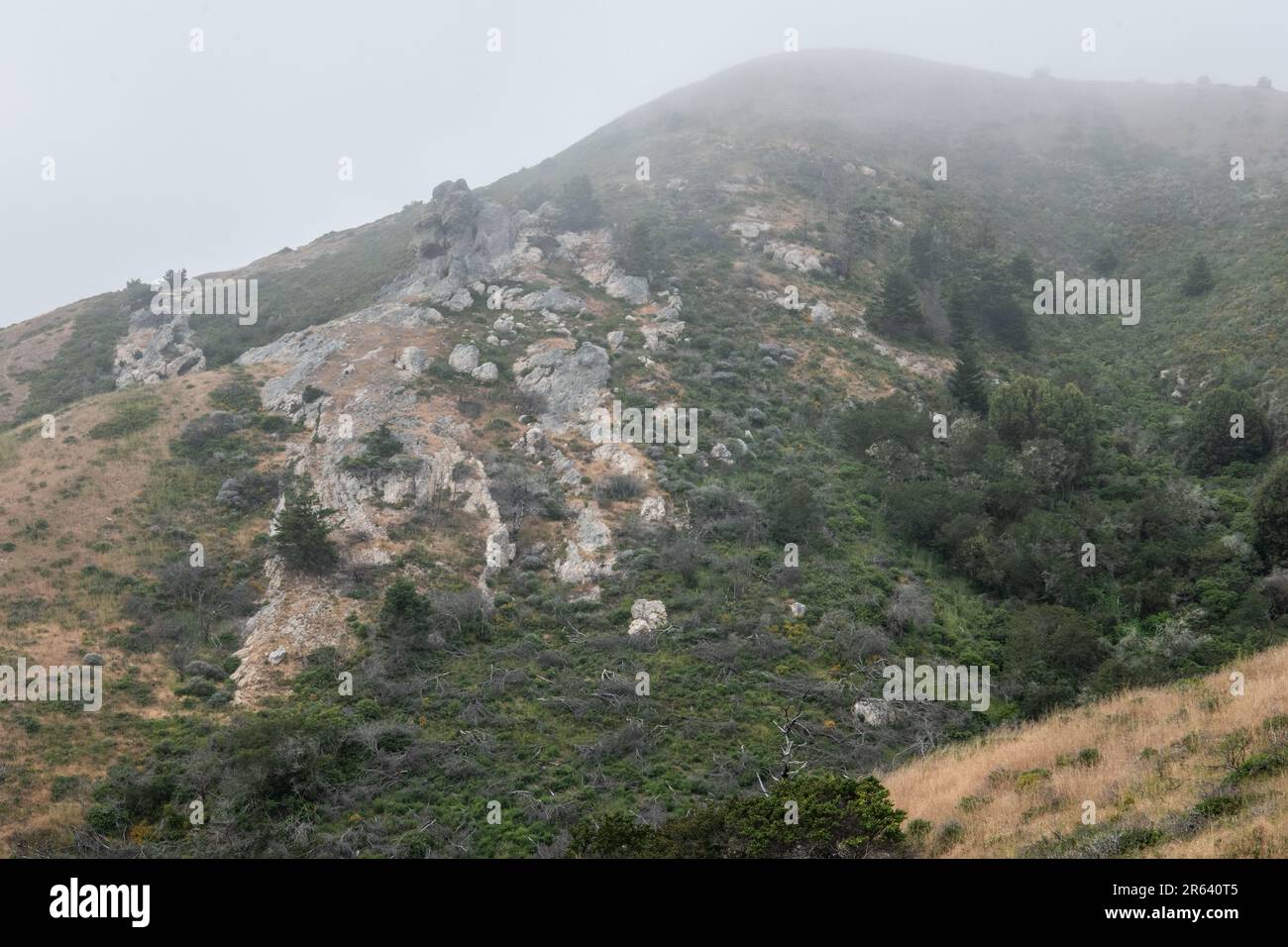 The foggy landscape and rocky hills in Point Reyes National seashore in ...