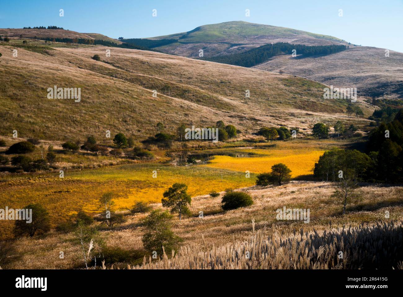 Odoriba marshland and Kirigamine Plateau in grass red leaves Stock ...