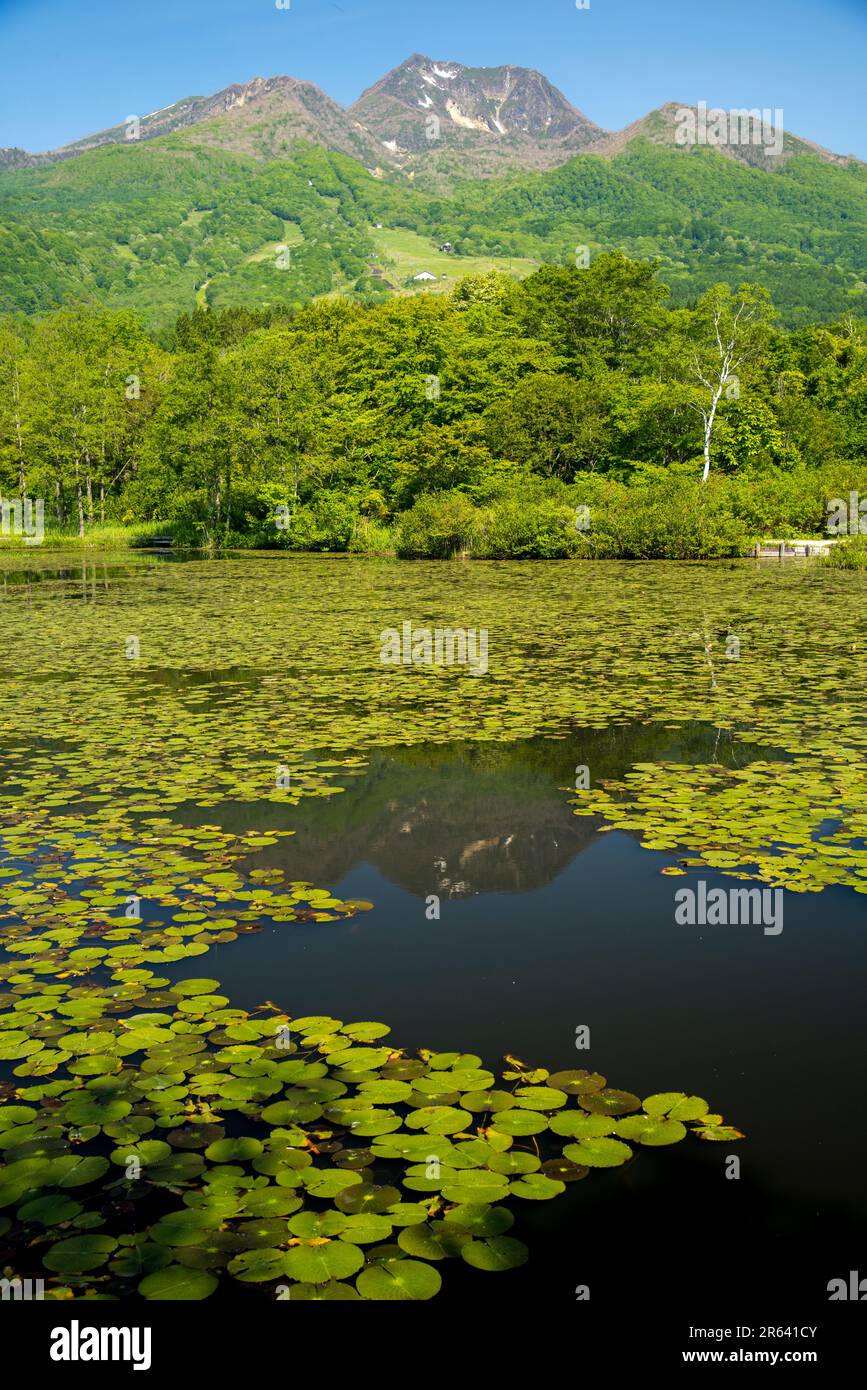 Imori pond and Mt.Myokosan Stock Photo - Alamy