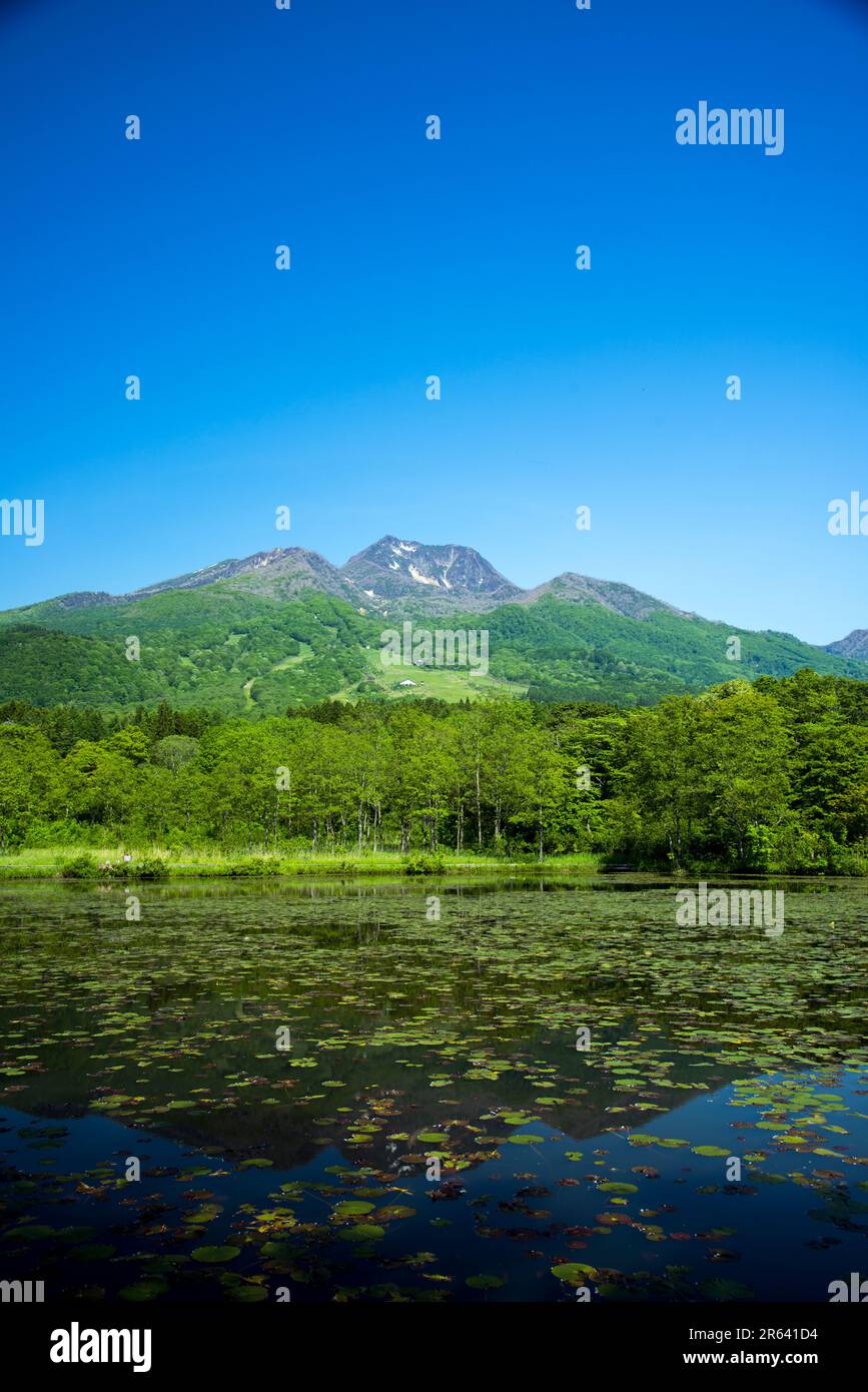 Imori pond and Mt.Myokosan Stock Photo - Alamy
