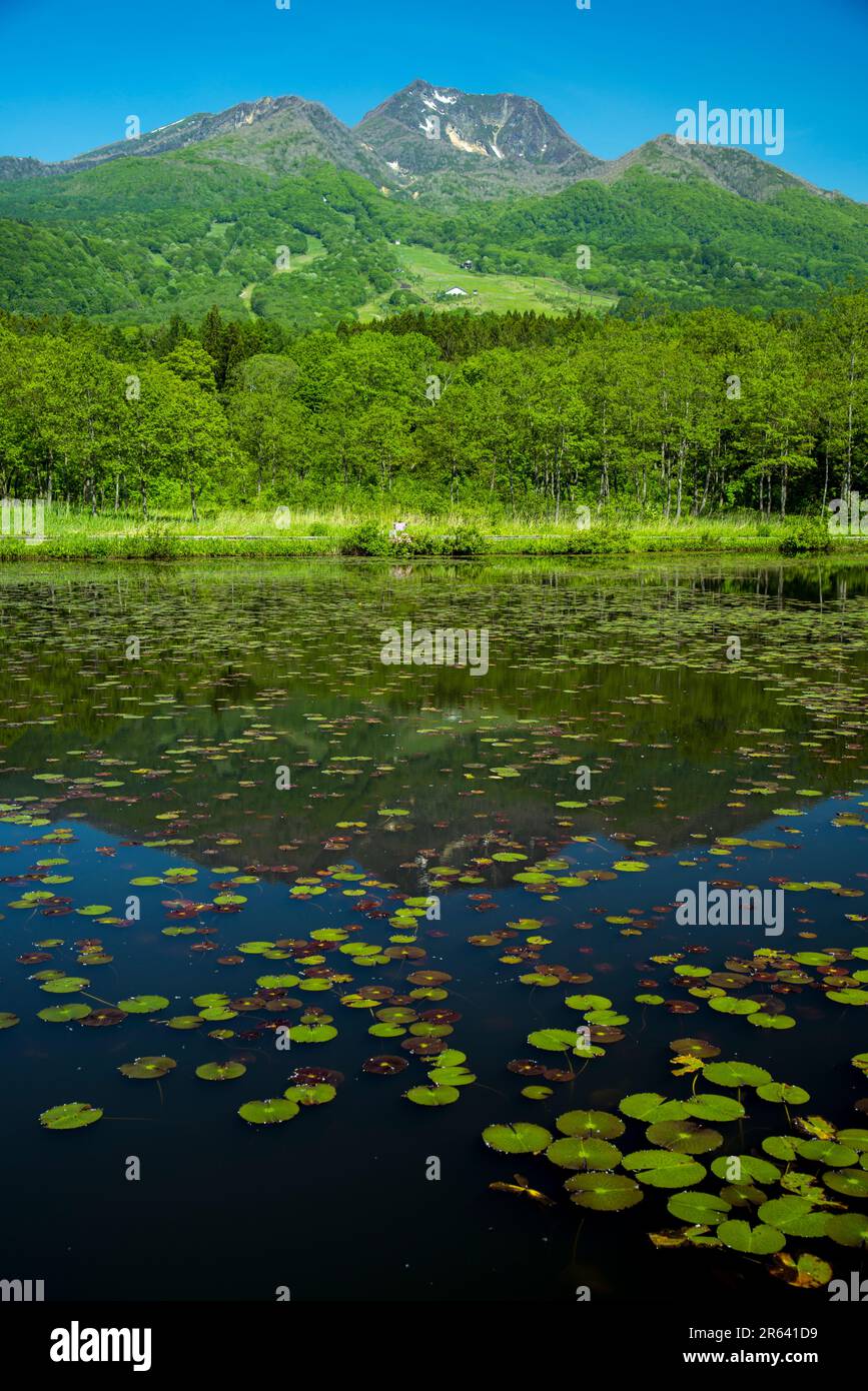 Imori pond and Mt.Myokosan Stock Photo - Alamy