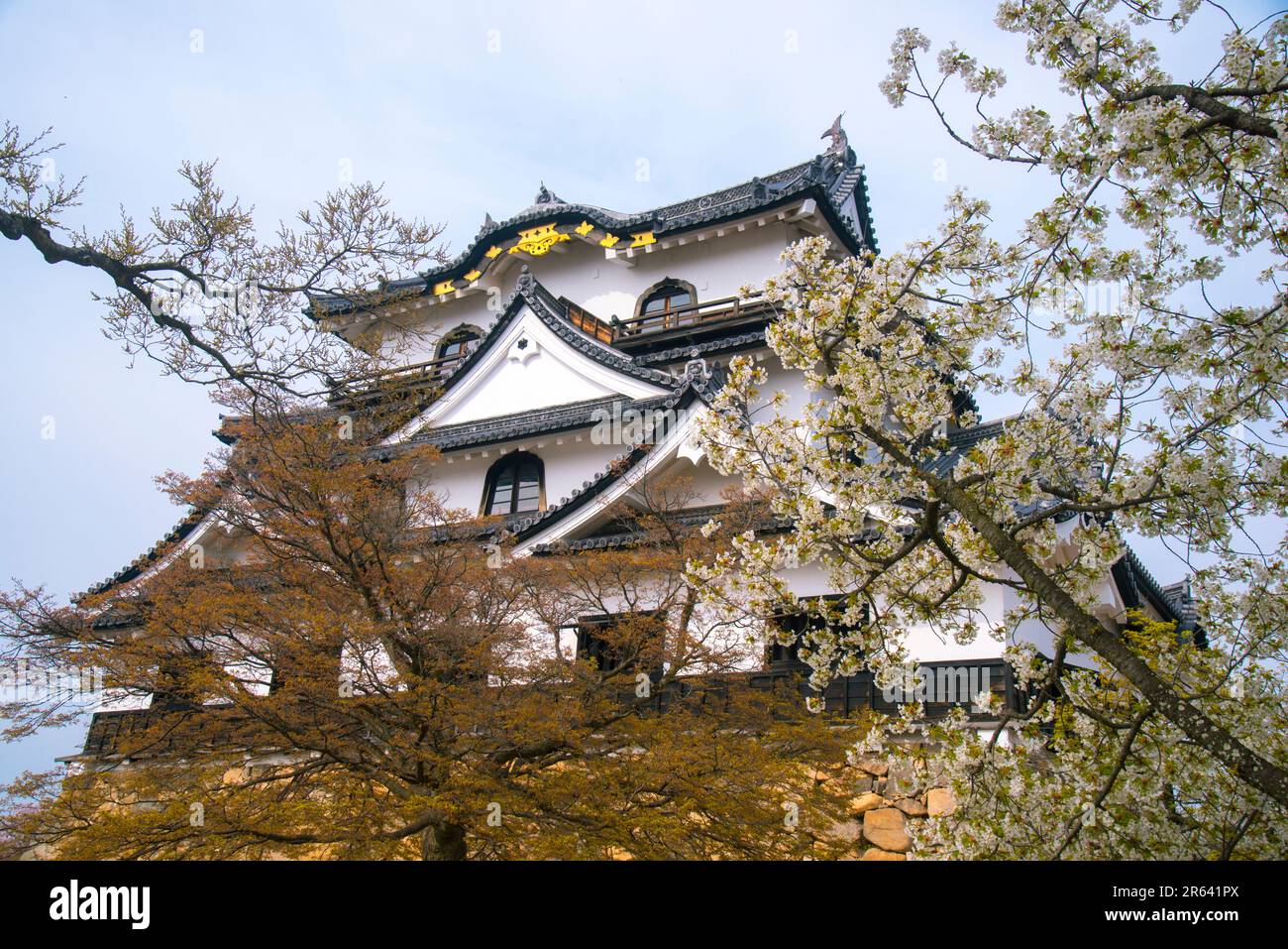 Hikone Castle Tenshukaku (castle tower Stock Photo - Alamy