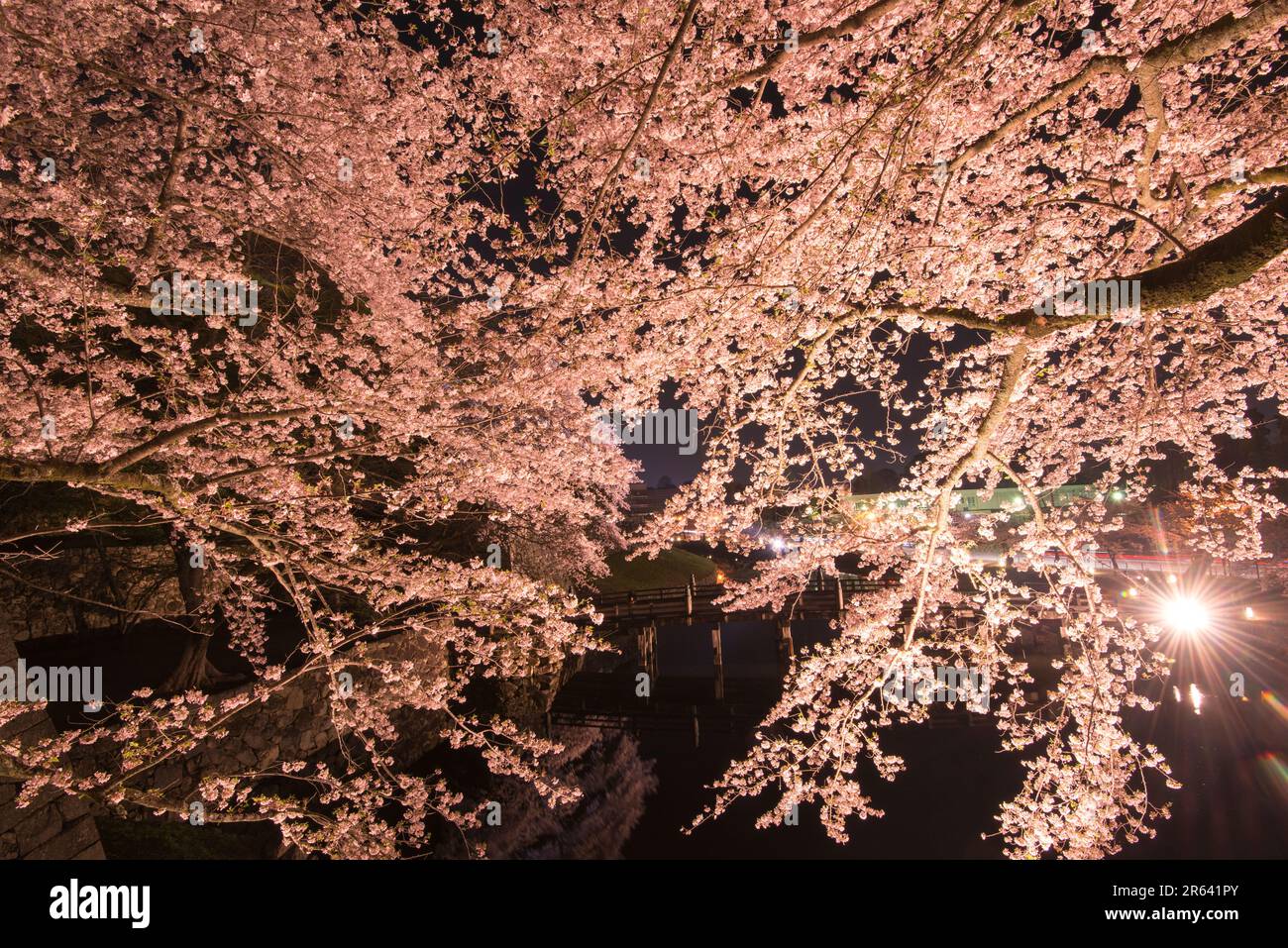 Hikone castle otemon hi-res stock photography and images - Alamy