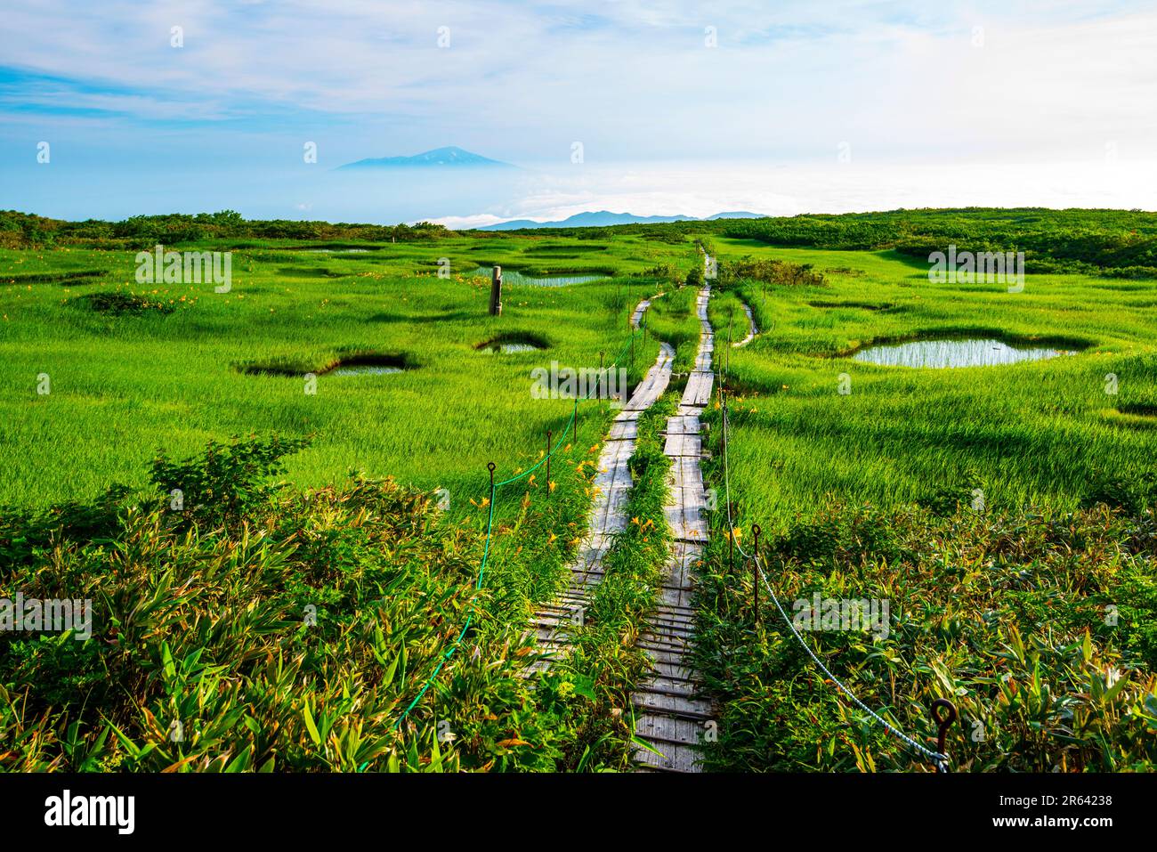 Mt. Gassan Midagahara Marsh Stock Photo - Alamy