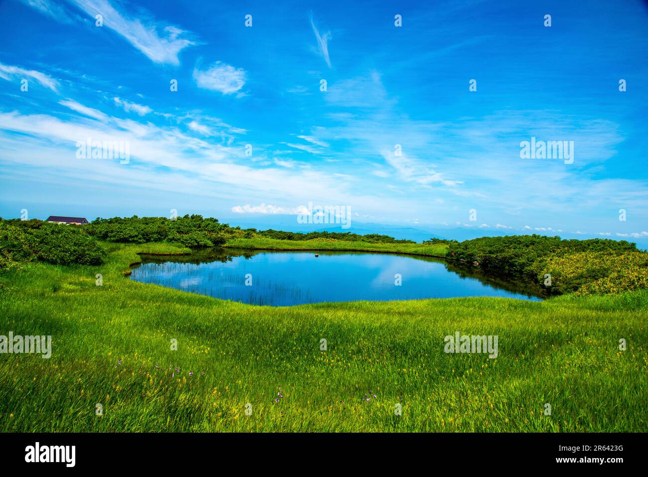 Mt. Gassan Midagahara Marsh Stock Photo - Alamy