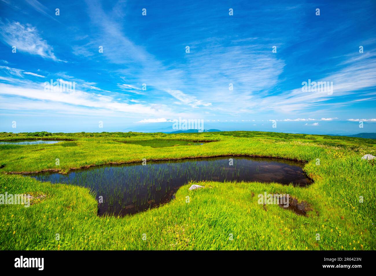 Mt. Gassan Midagahara Marsh Stock Photo - Alamy