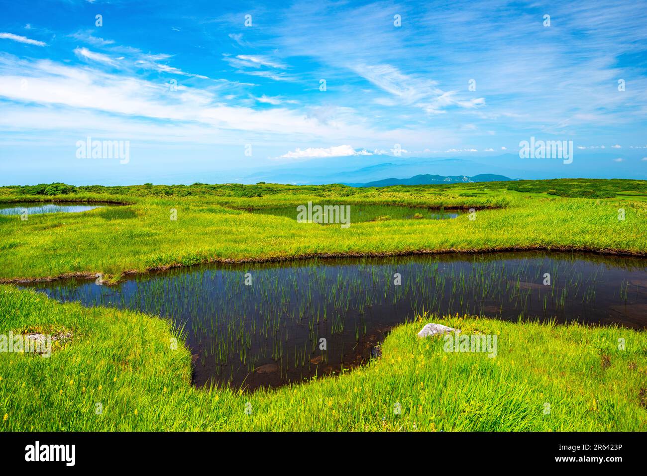 Mt. Gassan Midagahara Marsh Stock Photo - Alamy